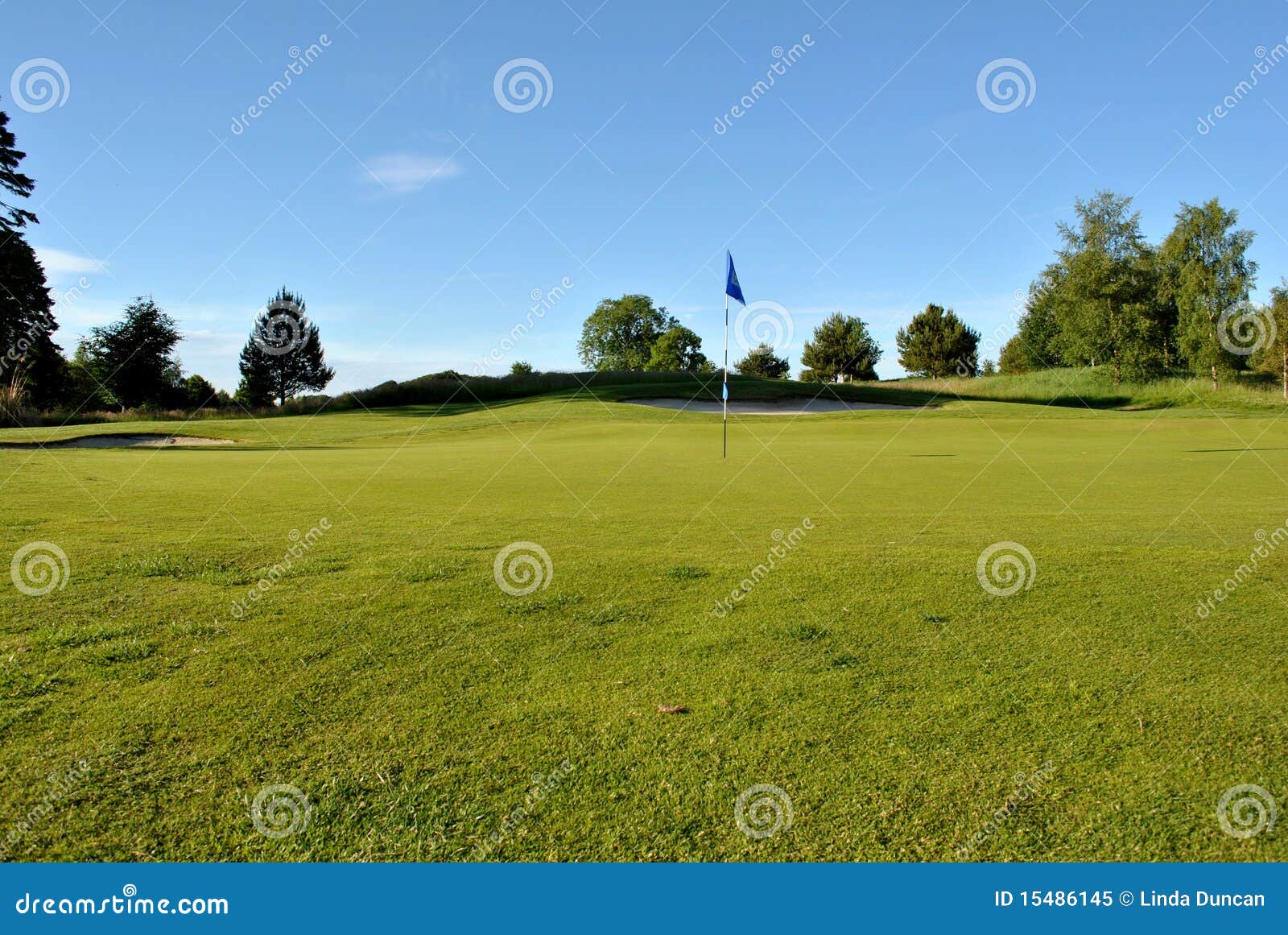 Green on a golf course stock image. Image of leaves, plants - 15486145