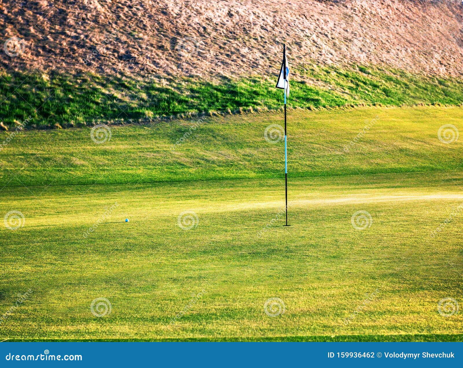 Green golf field stock photo. Image of game, player - 159936462