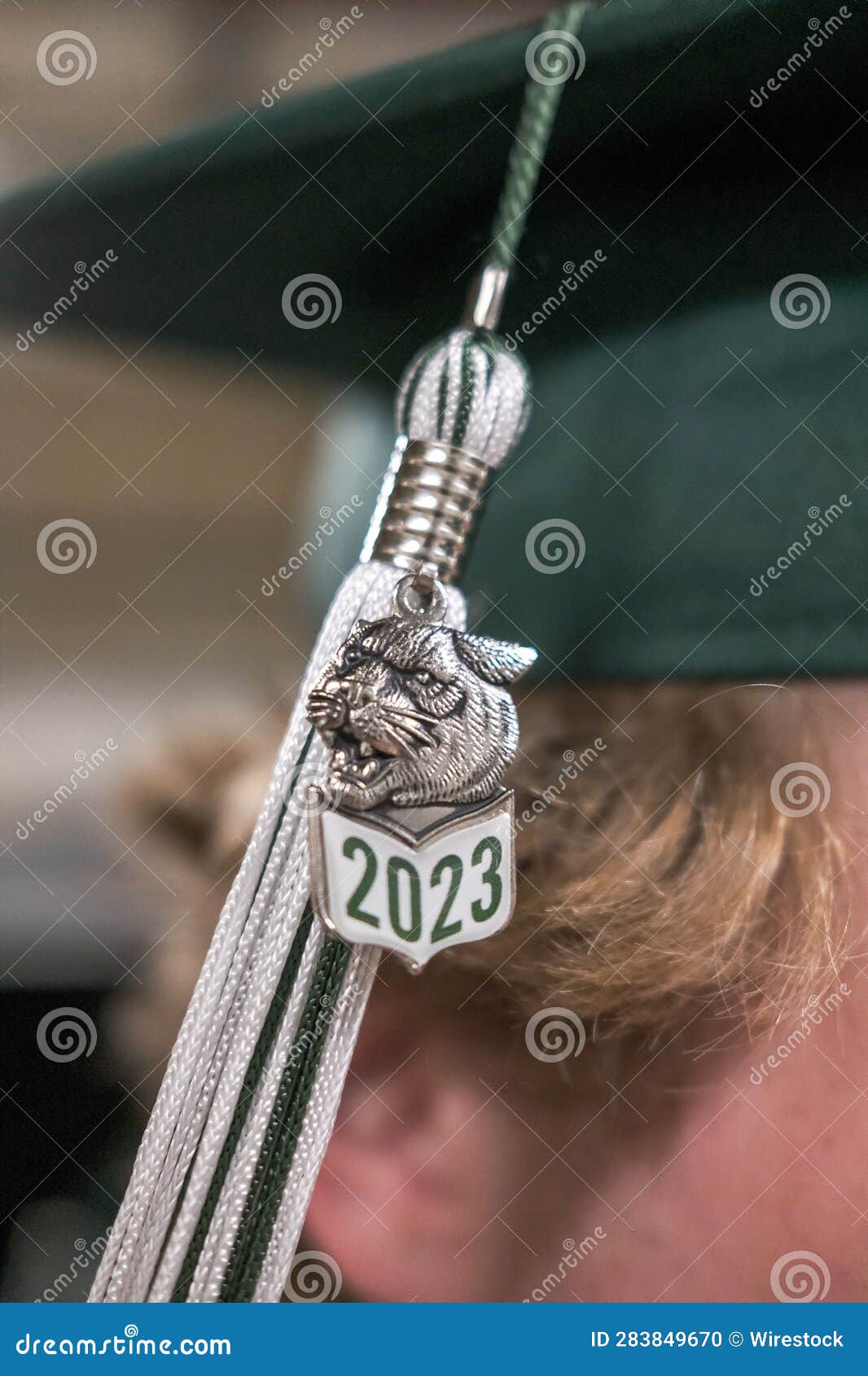 Green Graduation Cap with a Silver Tassel Featuring a Tiger Head with ...