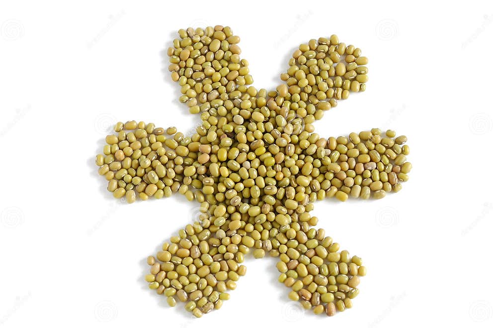 Green gram flower stock image. Image of mung, golden - 13442287