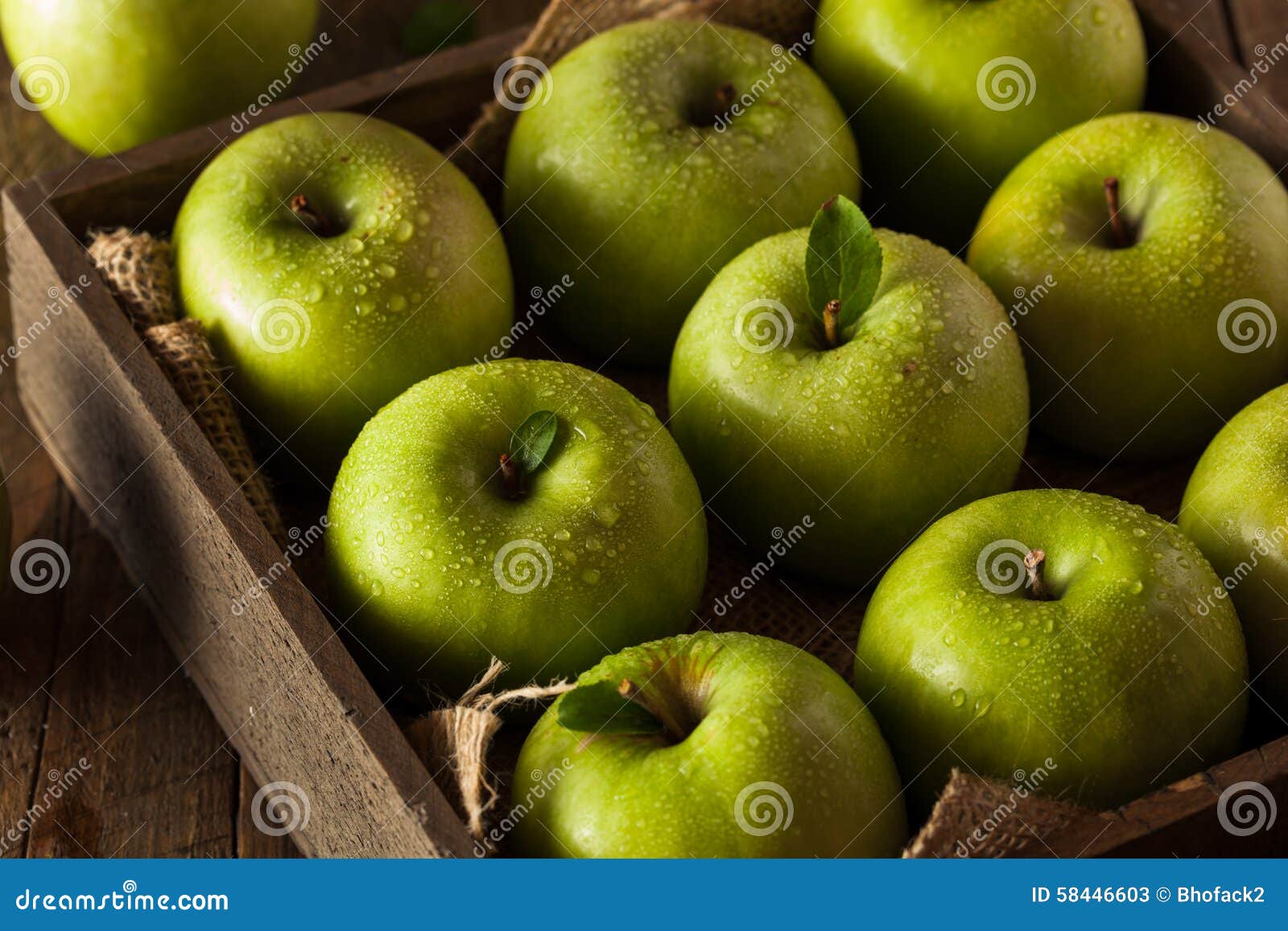 Green Granny Smith Apple stock image. Image of refreshing - 58446603