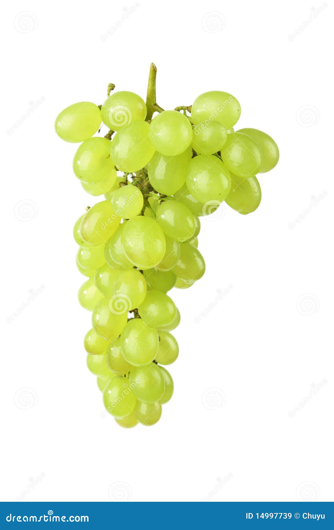 Green Grape Leaves, Texture, Background From Plants Stock Photo ...