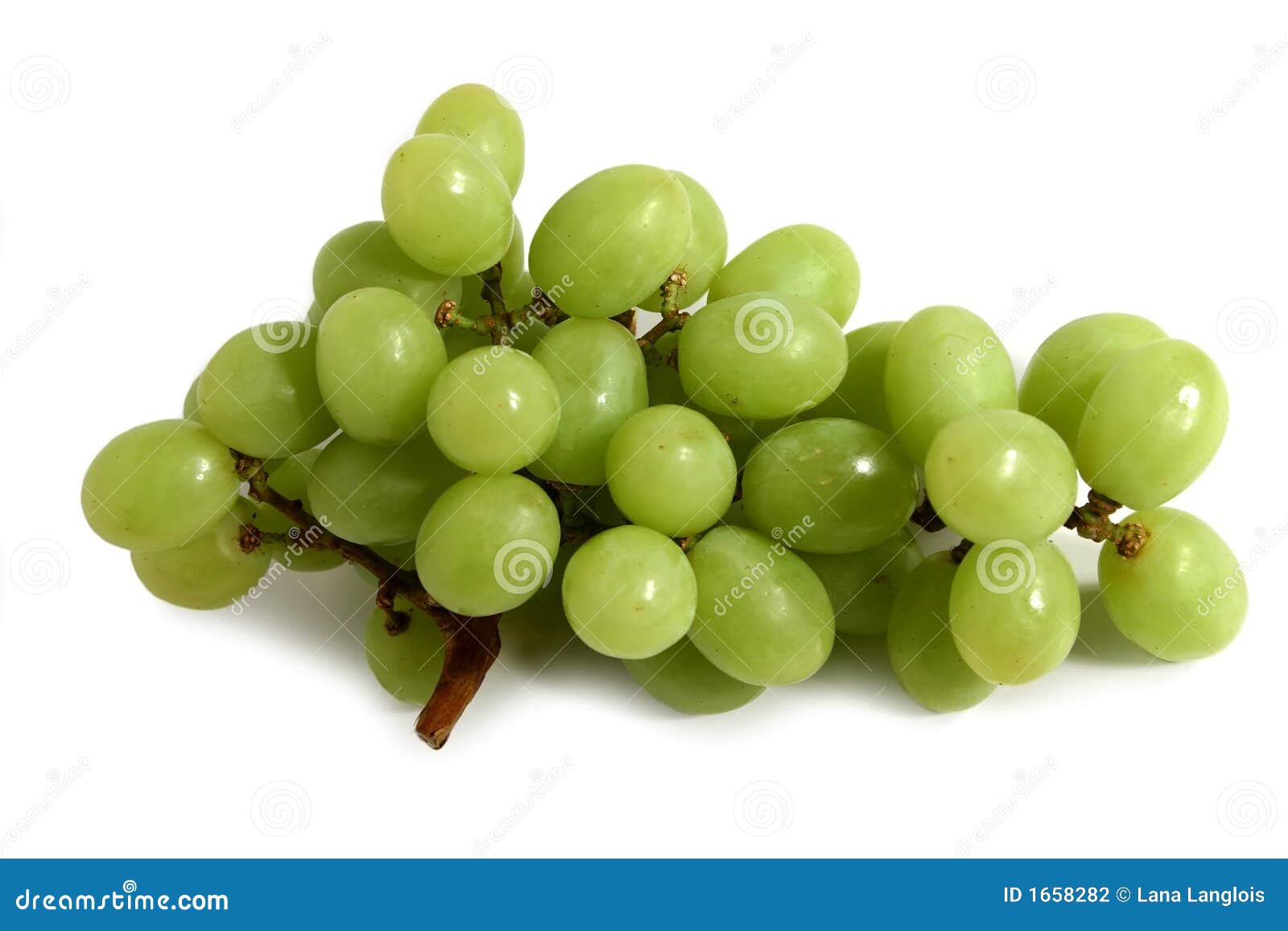 Green grape stock photo. Image of healthy, green, raisin - 1658282