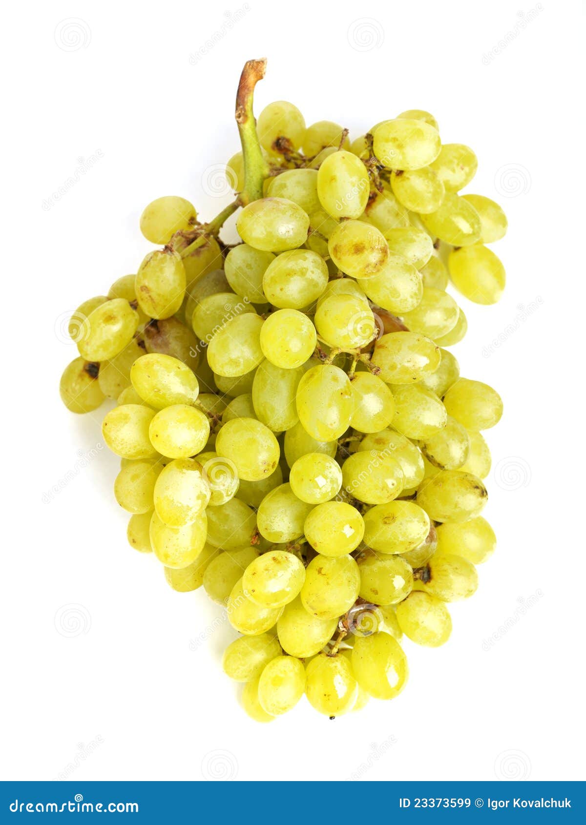 Green grape stock image. Image of diet, freshness, green - 23373599