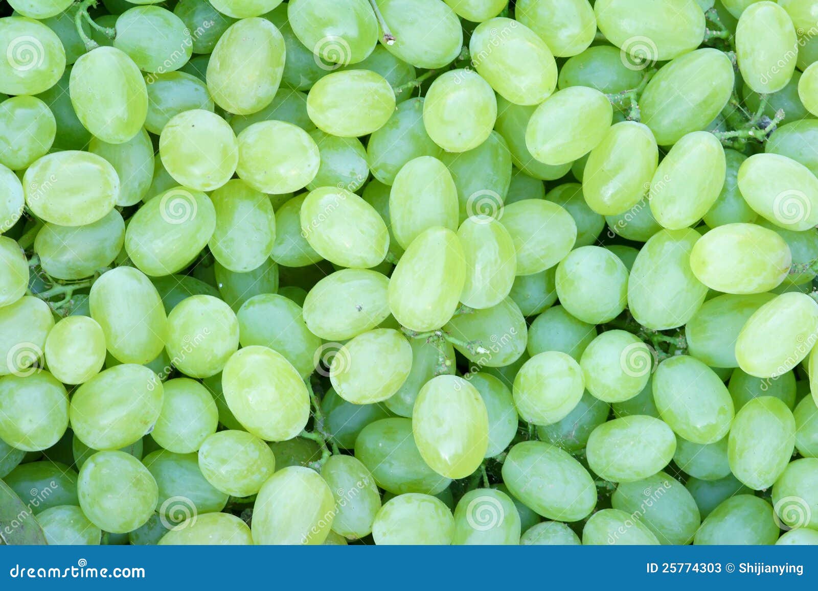 Green grape stock image. Image of grape, sweet, aliment - 25774303