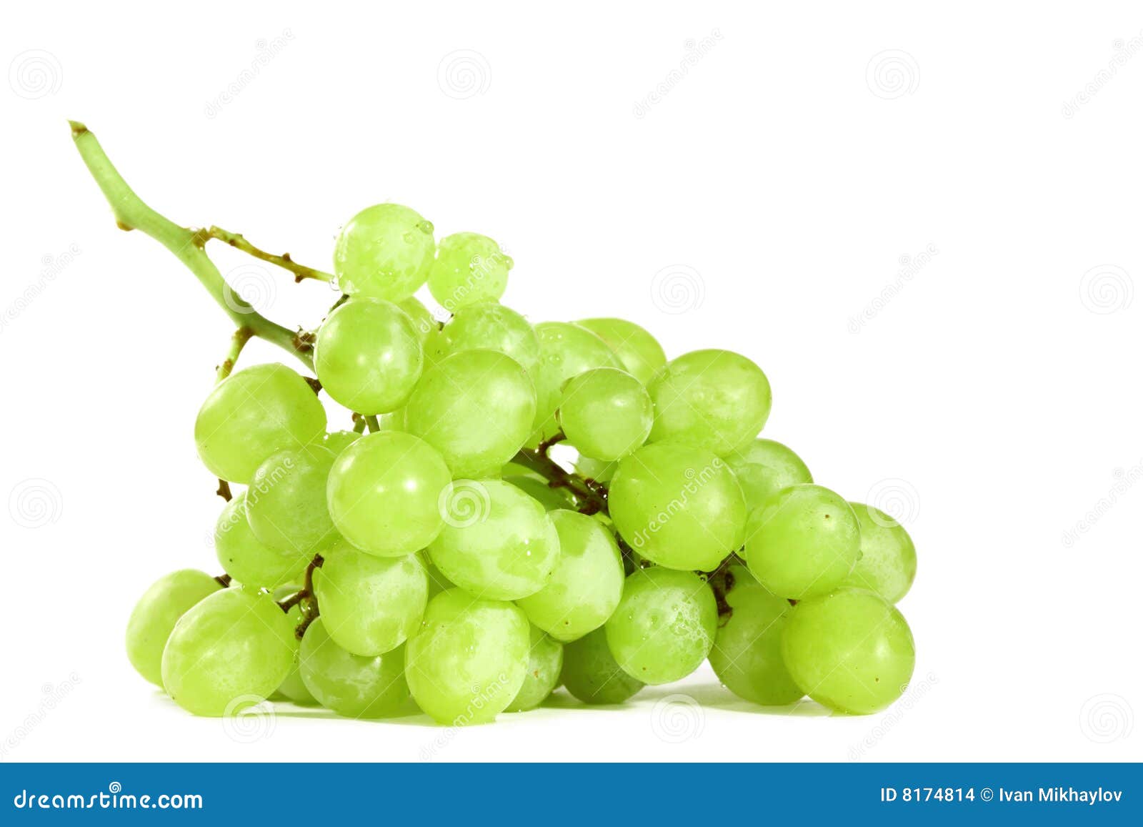 4,944 Shell Grape Stock Photos - Free & Royalty-Free Stock Photos from ...