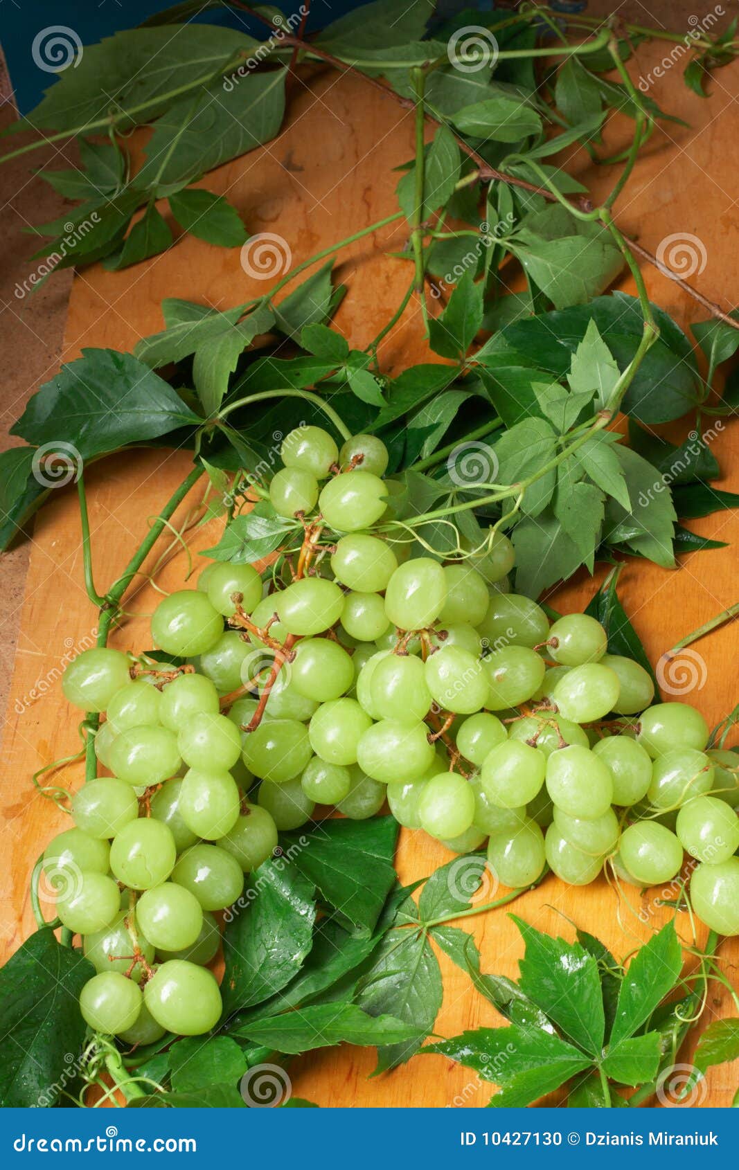 Green grape with leaves stock photo. Image of food, grow - 10427130