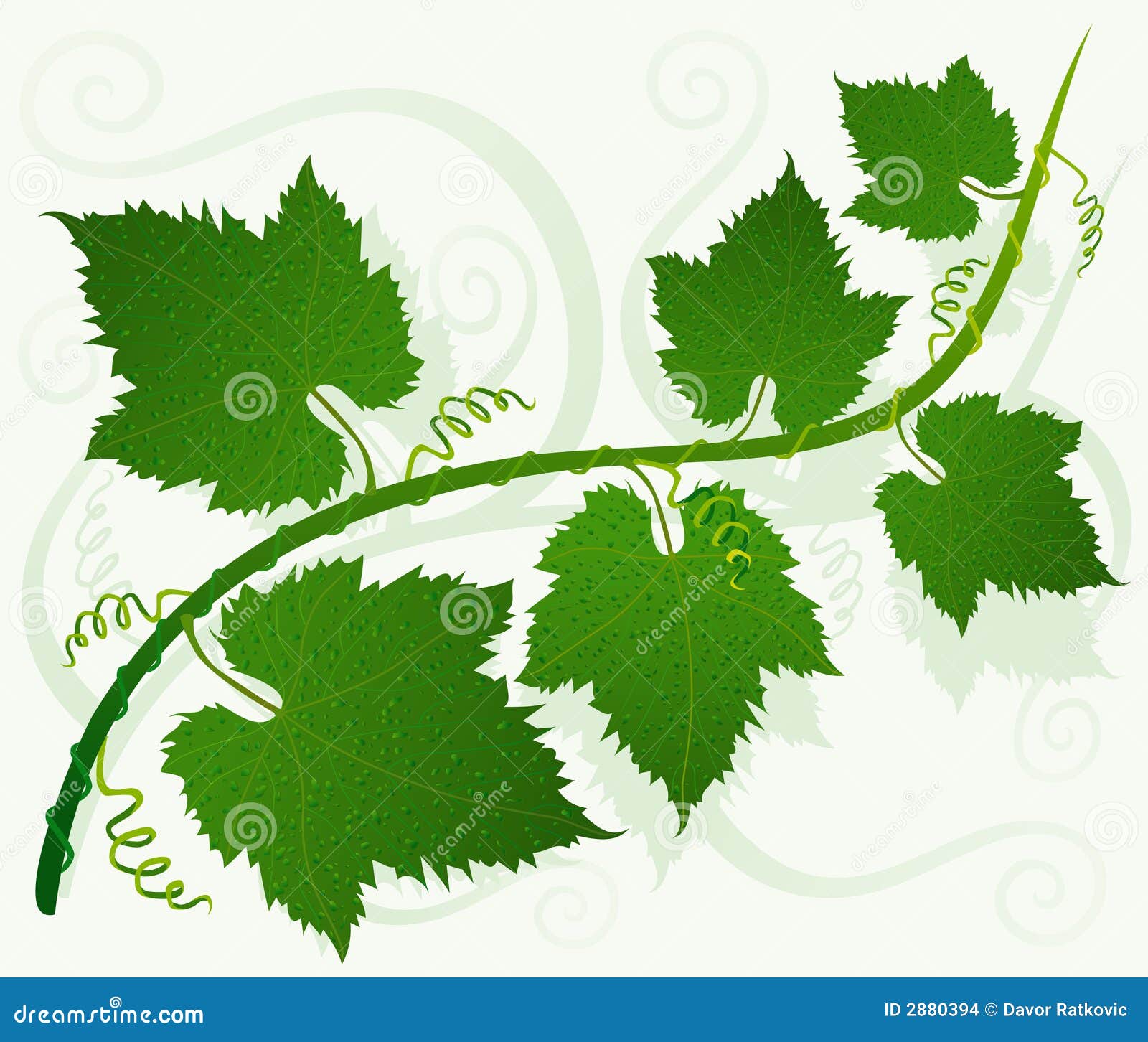 Green Grape Leaves Stock Images - Image: 2880394