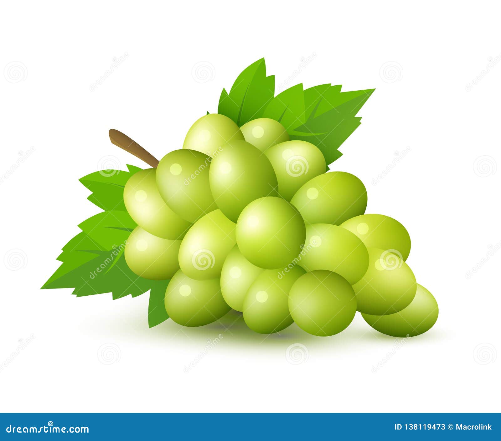 Green Grape Icon Set. Fruits Group Vector Illustration. Different ...