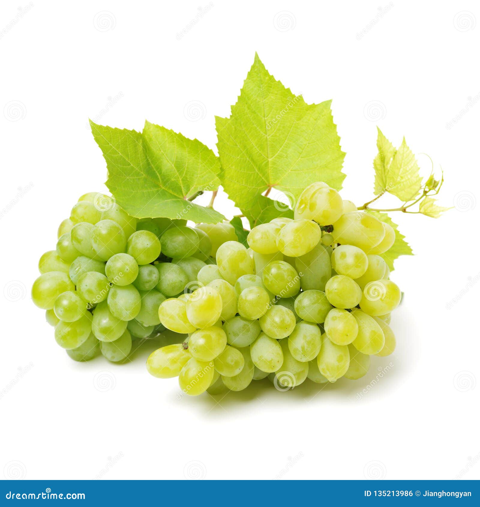 Green grape with leaves stock photo. Image of agriculture - 135213986