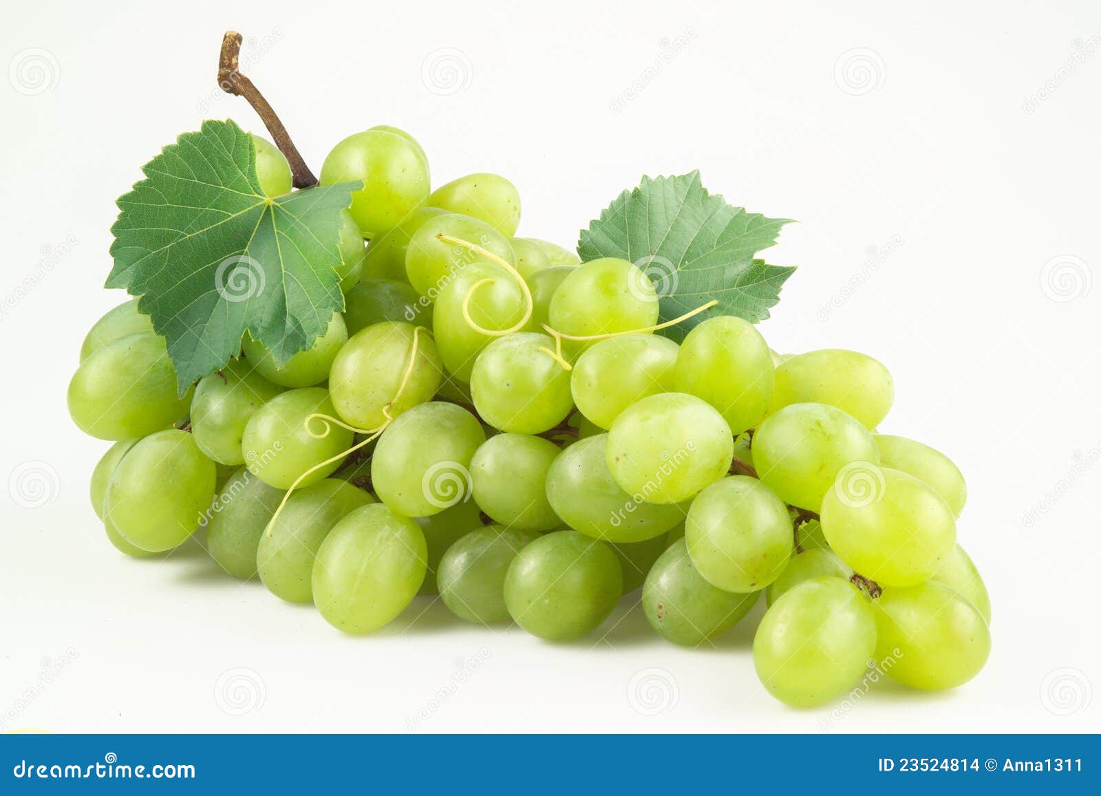 Green Grape with Leaves. Isolated on White Stock Photo - Image of fruit ...