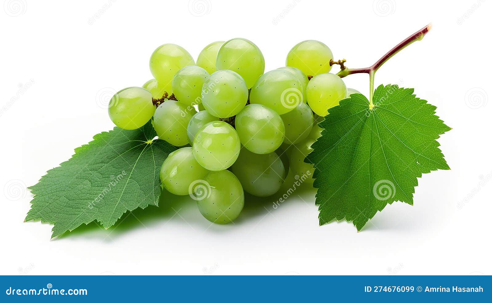 Green Grape with Leaves Isolated on White. with Clipping Path. Full ...