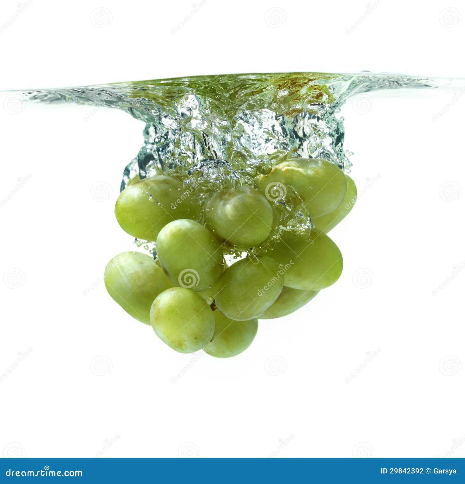 Green grape stock photo. Image of diving, twig, water - 29842392