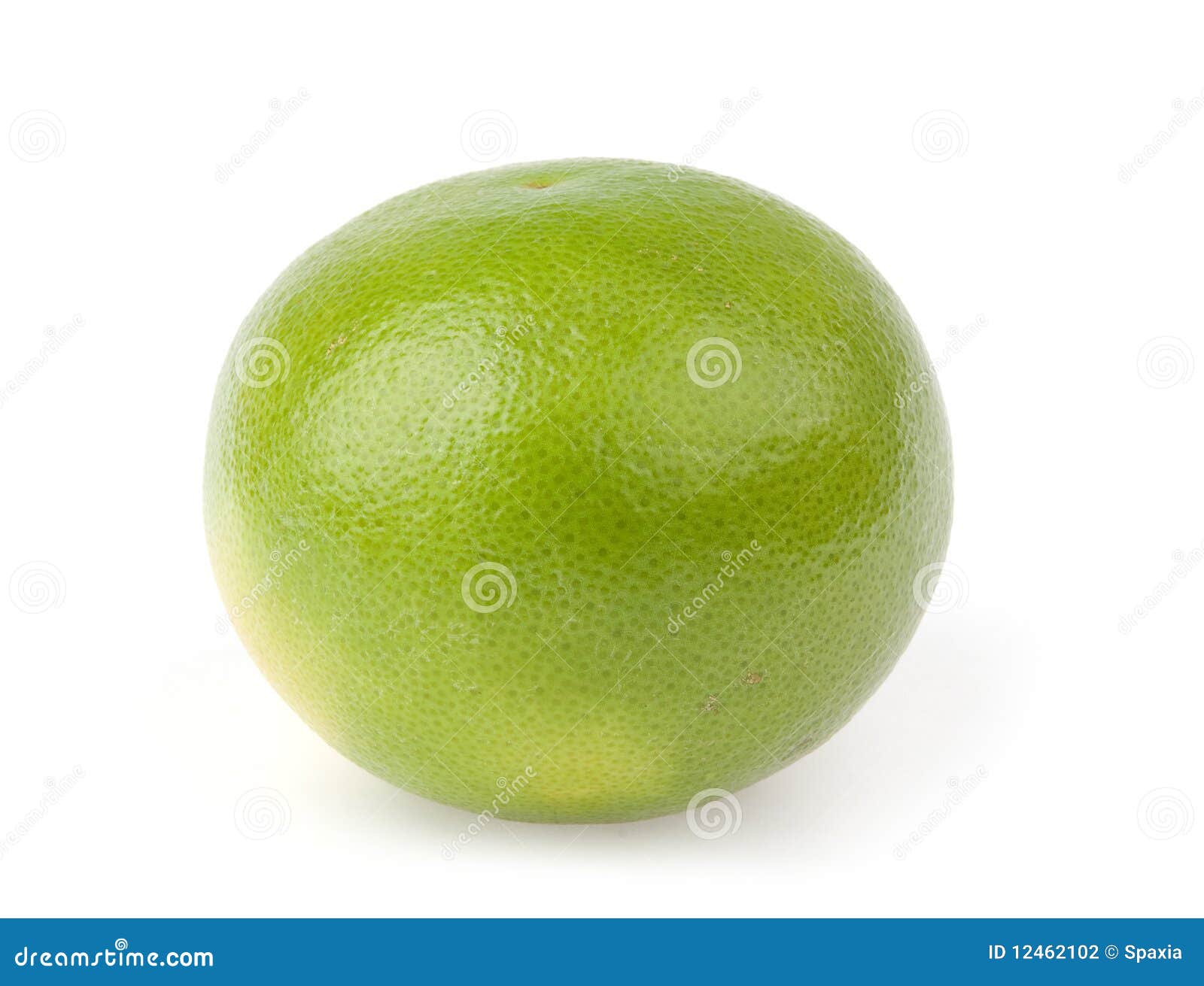 Green grapefruit stock photo. Image of dieting, fresh - 12462102