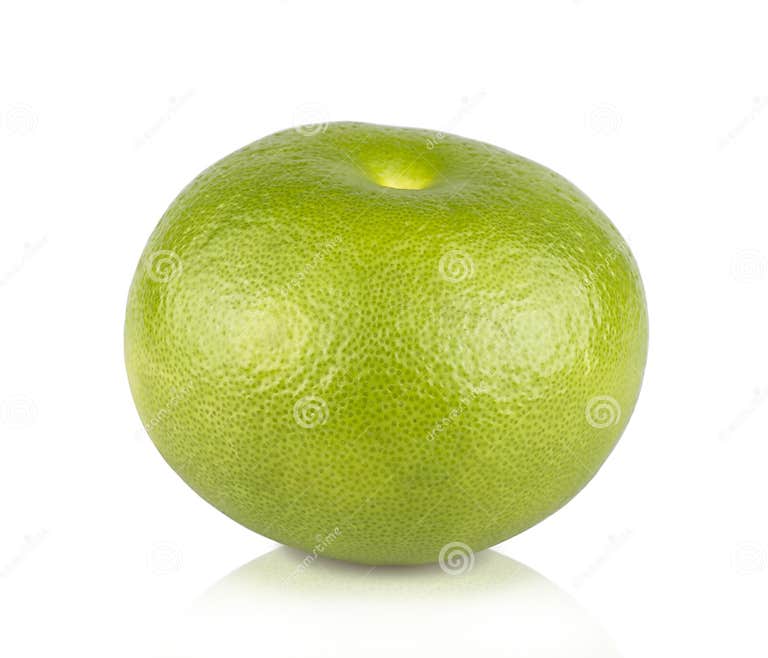 Green grapefruit isolated stock photo. Image of juicy - 34985296