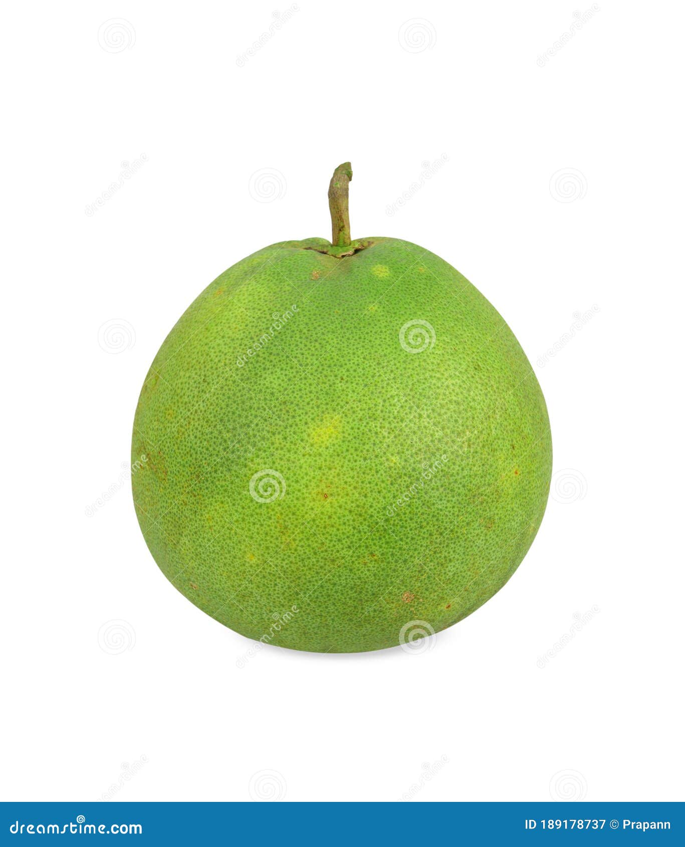 Green Grapefruit Isolated on White Background Stock Image - Image of ...