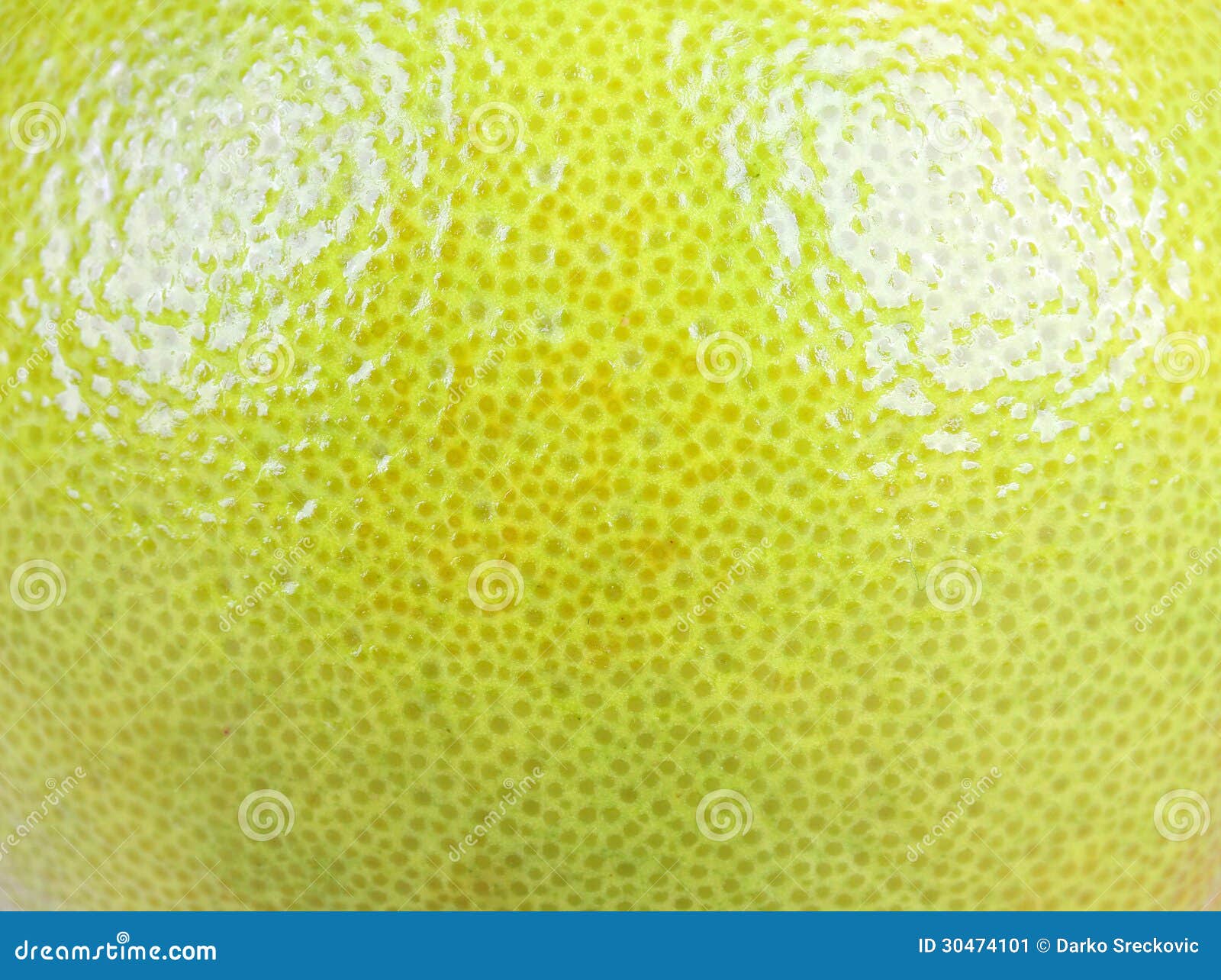 Green grapefruit texture stock image. Image of green - 30474101