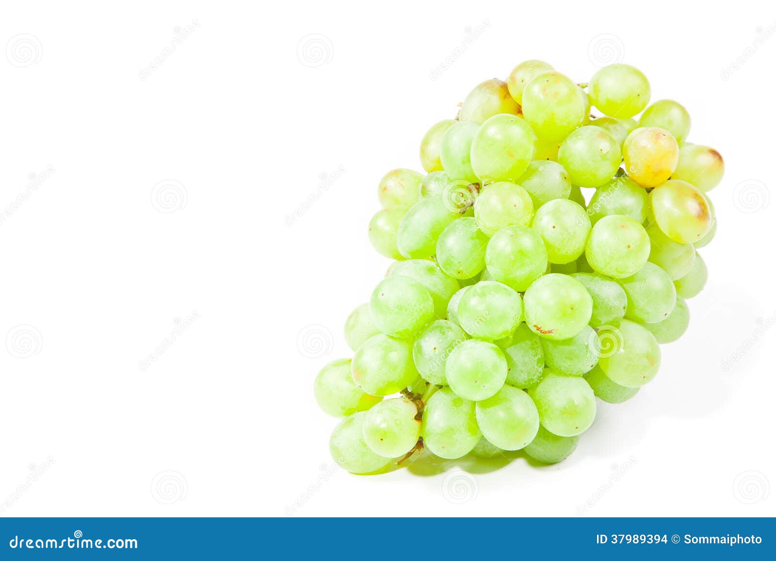 Green grapes stock photo. Image of healthy, colors, plant - 37989394
