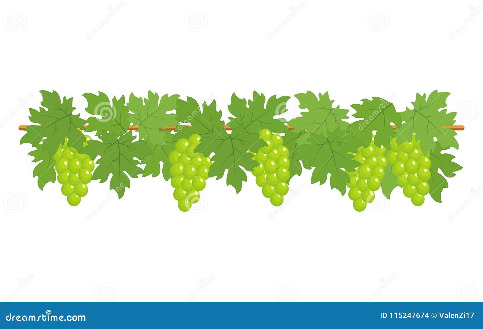 Green grapes border stock illustration. Illustration of food - 115247674