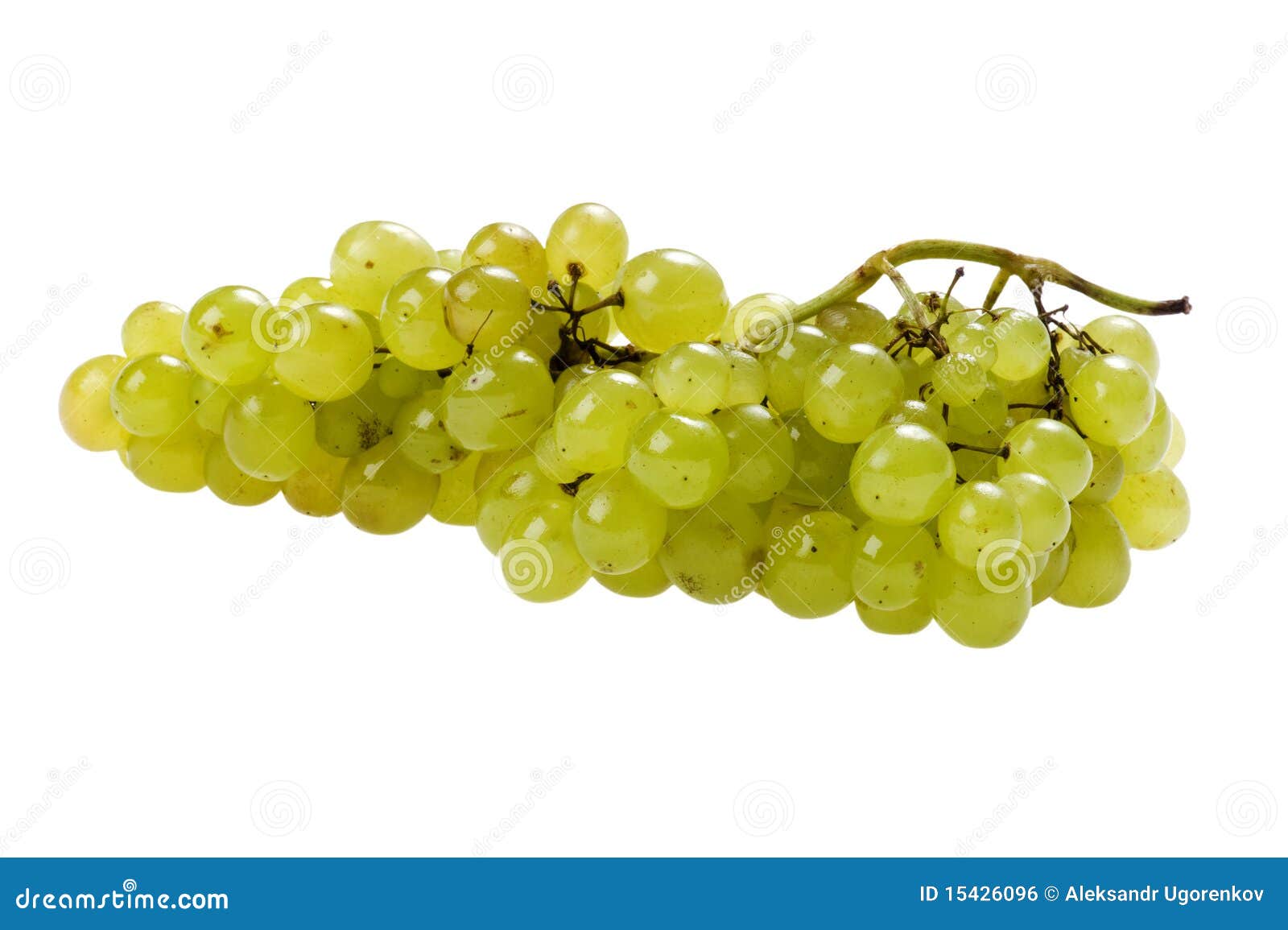 Green grapes close up stock photo. Image of dessert, color - 15426096