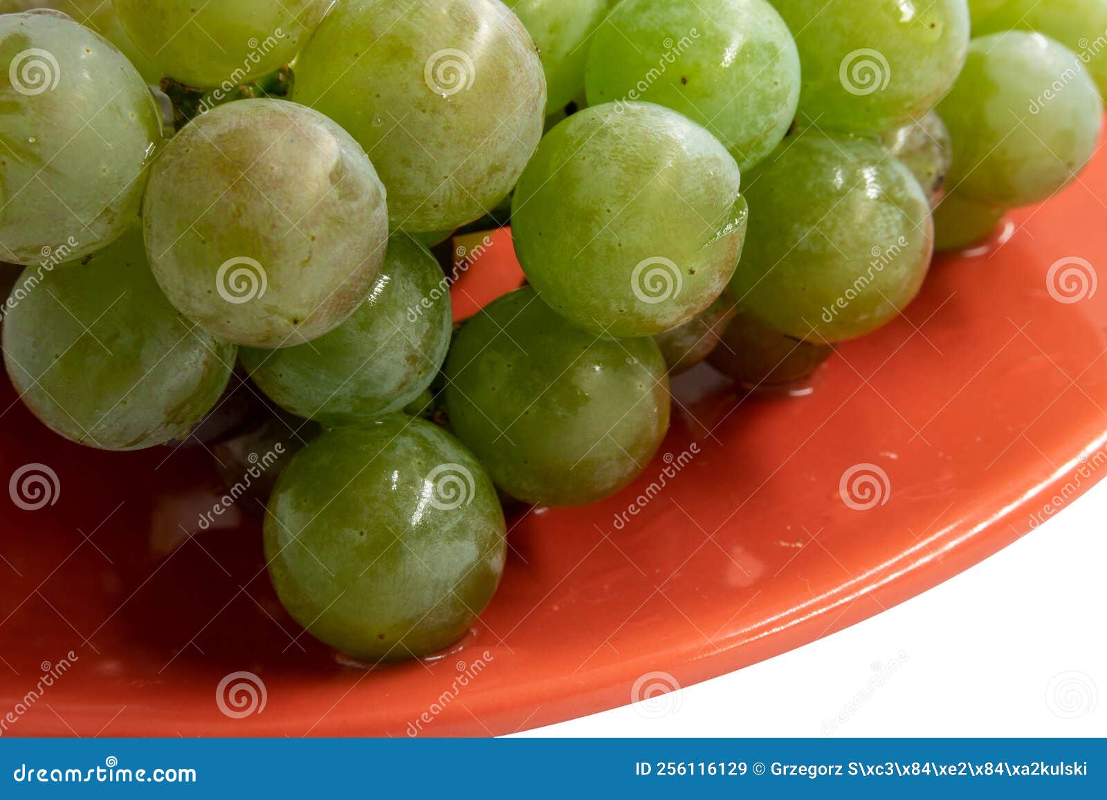 Green grapes for fruit stock image. Image of juicy, bunch - 256116129
