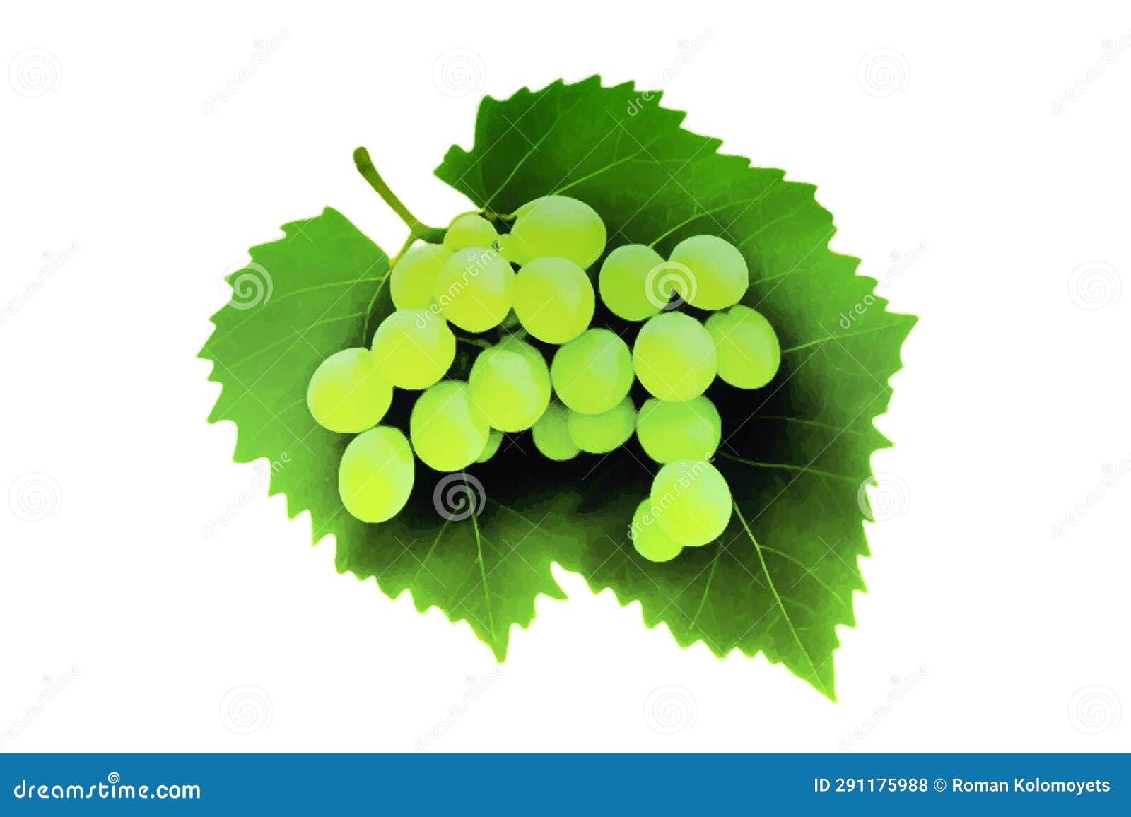 Green grapes on a leaf stock photo. Image of pattern - 291175988