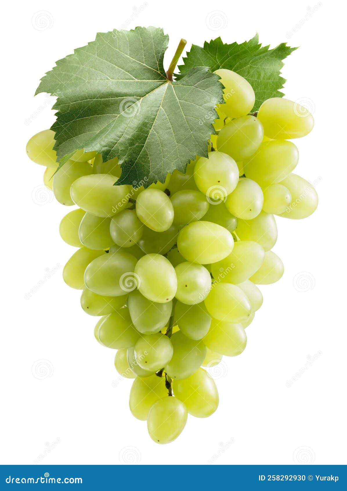 Green Grapes with Green Leaves Isolated on a White Background with ...