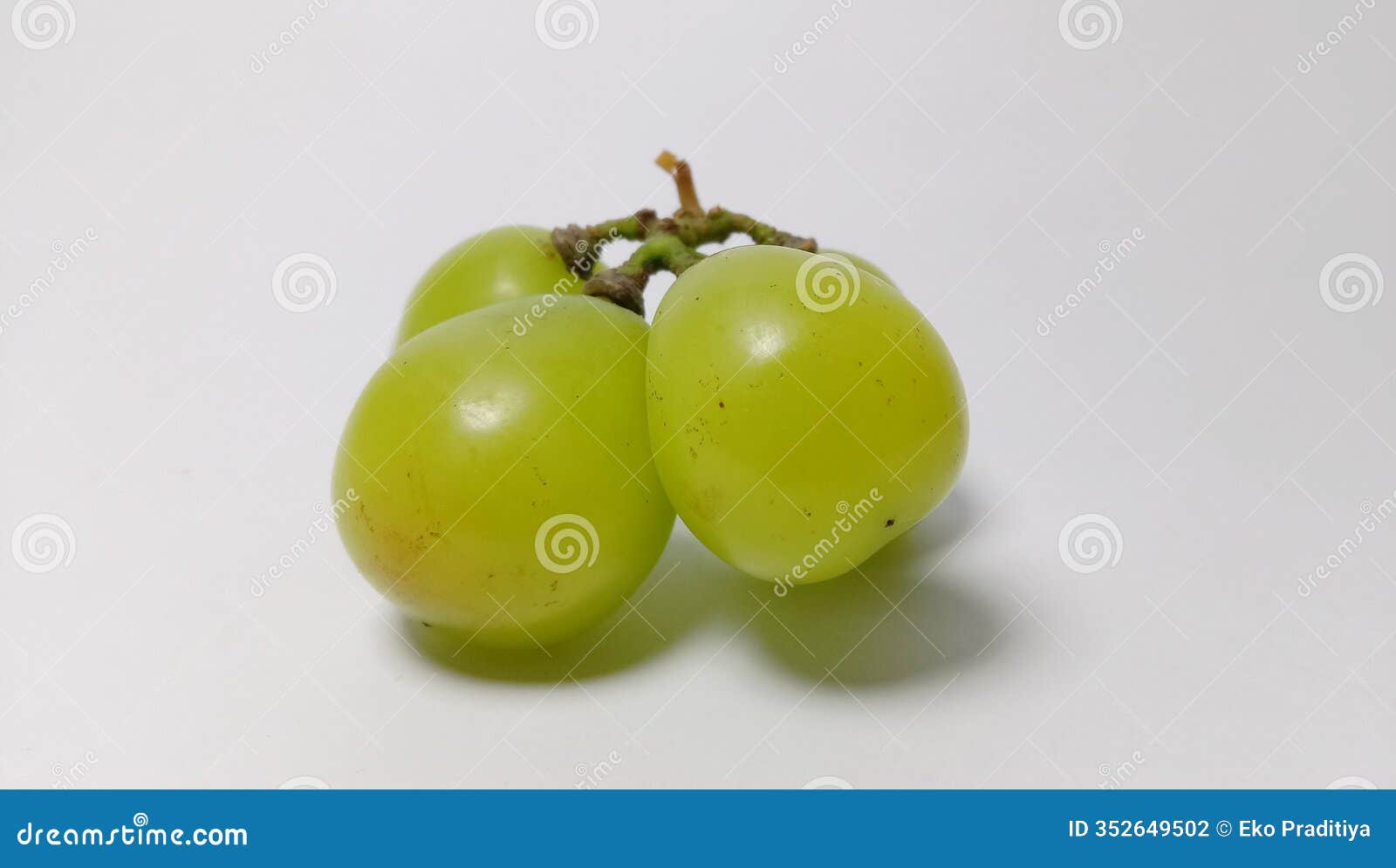 Green Grapes on a Plain White Background Stock Photo - Image of fruits ...