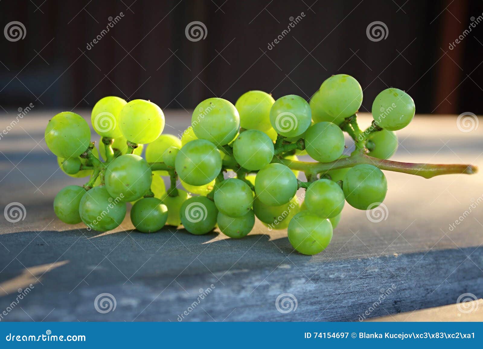 Green grapes on the table stock image. Image of grape - 74154697
