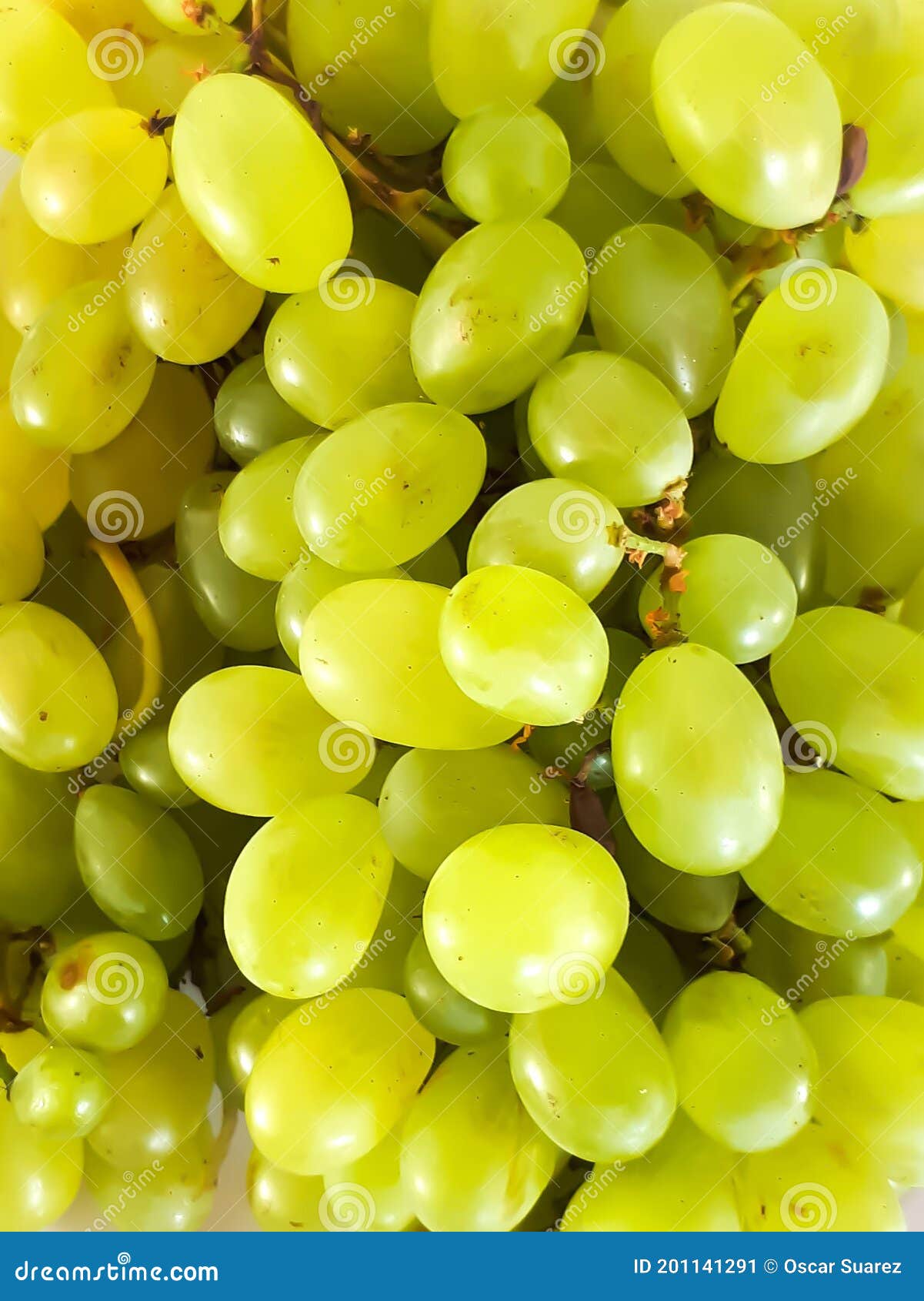 Red Grapes Texture Royalty-Free Stock Photo | CartoonDealer.com #61360029