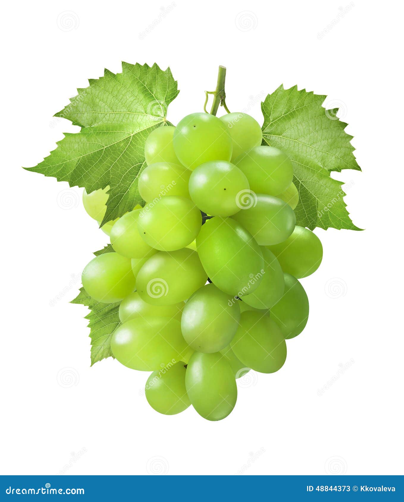 Green Grapes Vertical with Leaves Isolated on White Background Stock ...