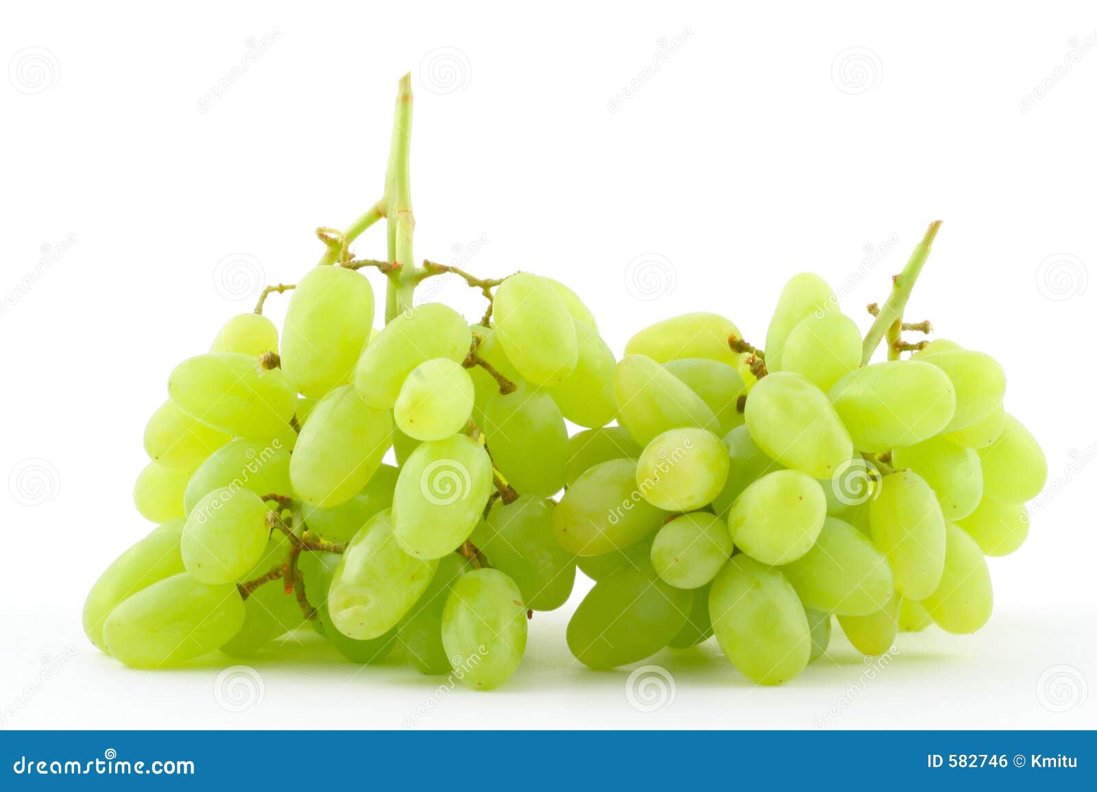 Green grapes on white stock photo. Image of green, close - 582746