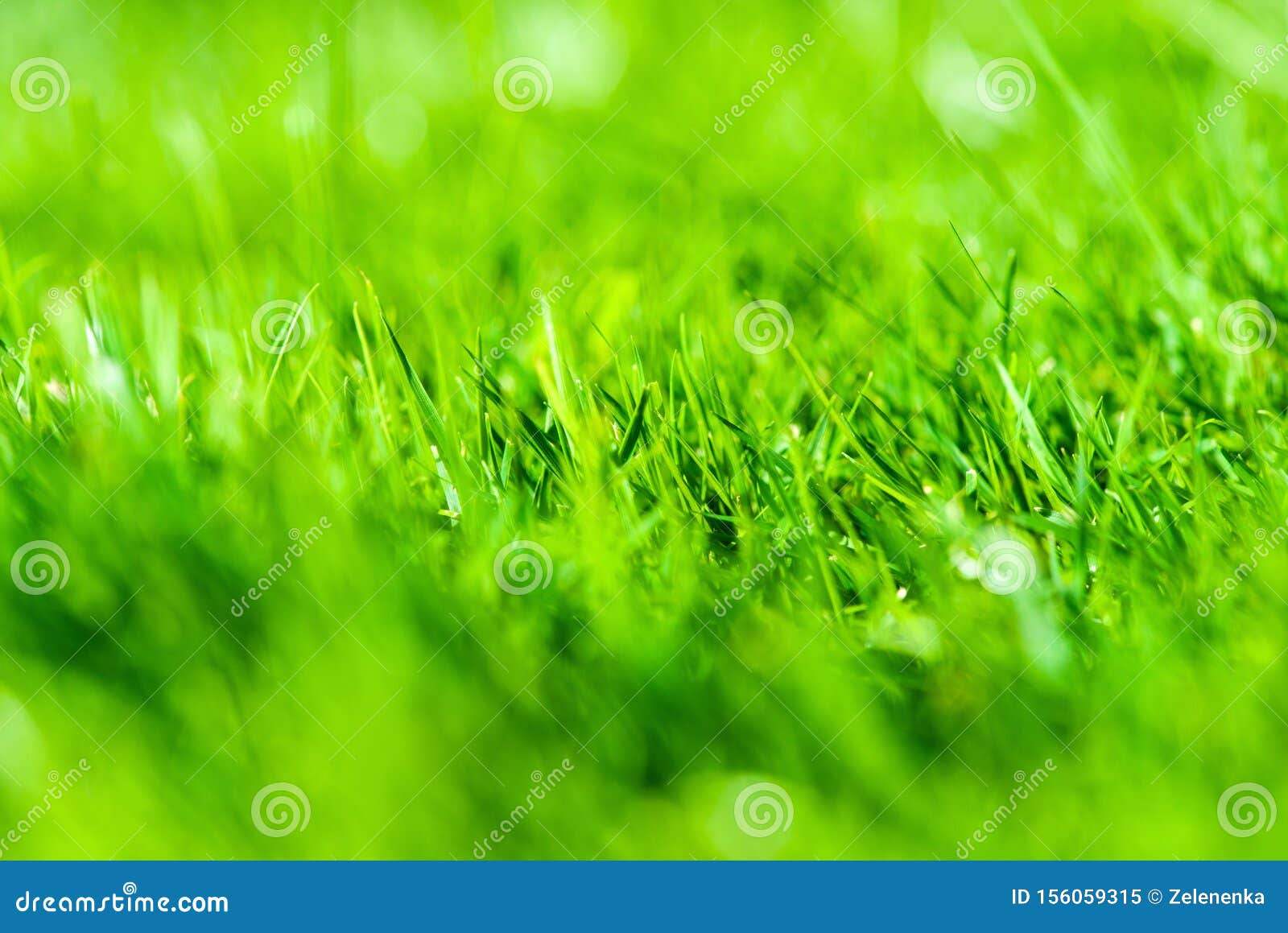 Green grass stock image. Image of landscape, growth - 156059315