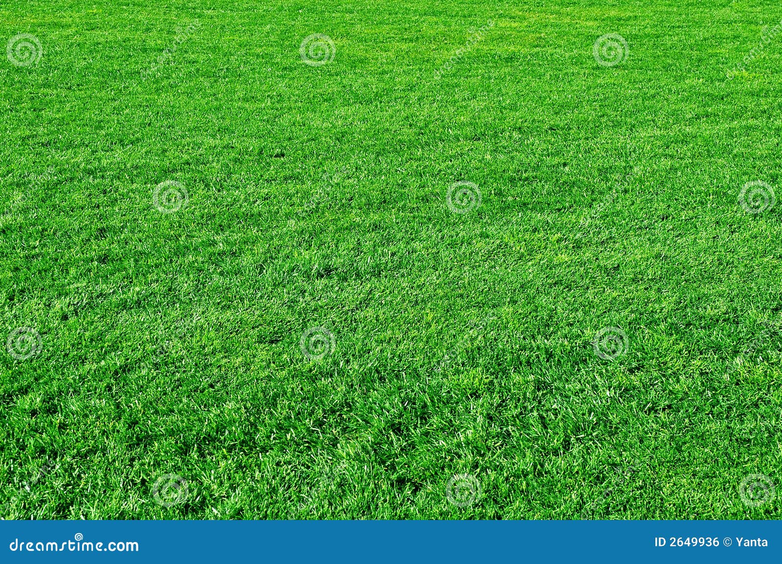 Grassland Green Color Pictures And Images - RGB Color Hex Code [#40C040 ...