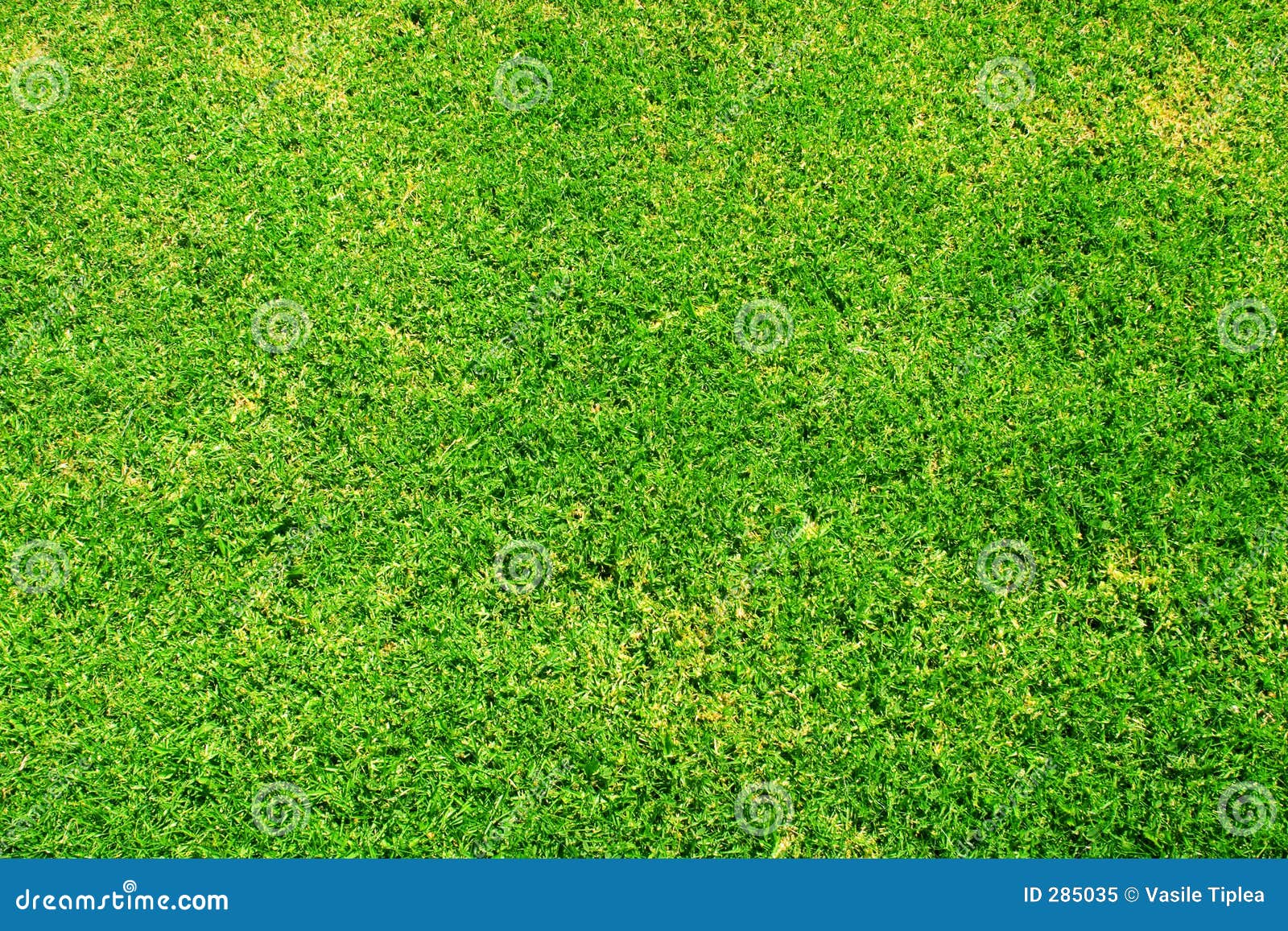 Green grass stock image. Image of turf, green, grow, natural - 285035