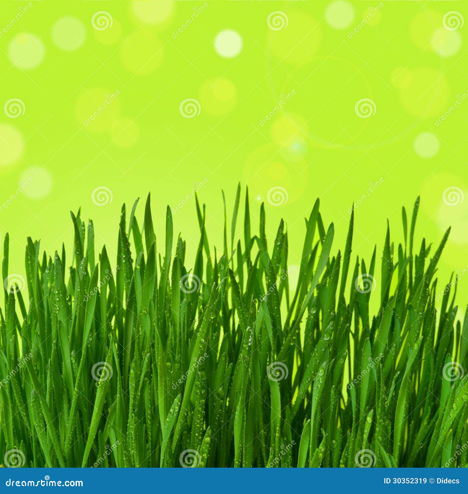 Green Grass on Abstract Background Stock Image - Image of harmony ...