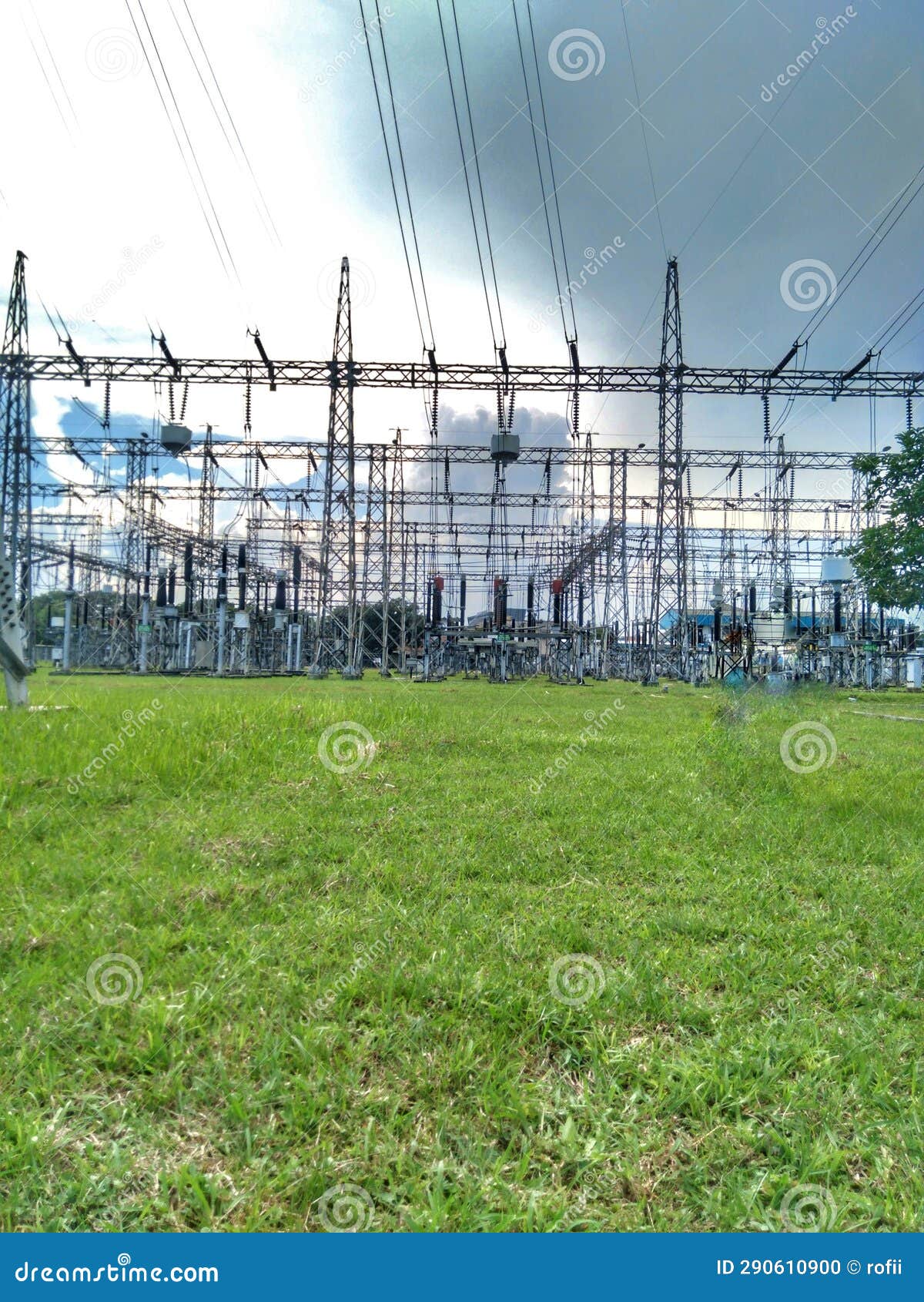 The Green Grass is Accompanied by a Very Neat PLN Substation Network ...