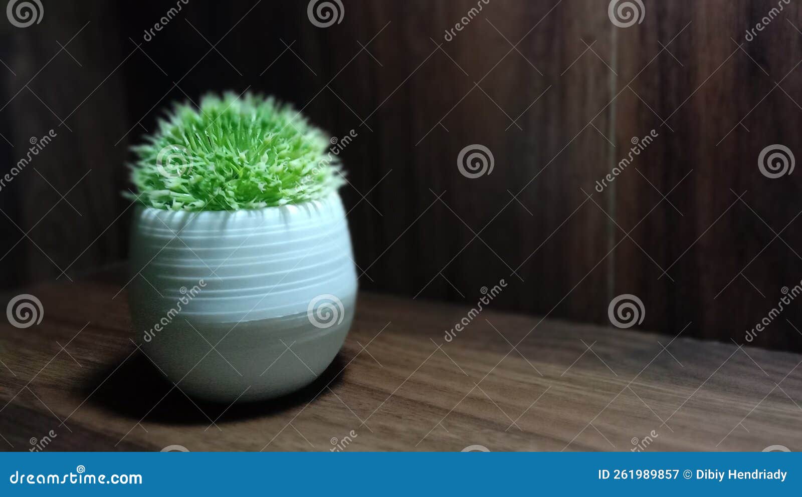 Green Grass Alone in Dim Light Stock Image - Image of alone, grass ...