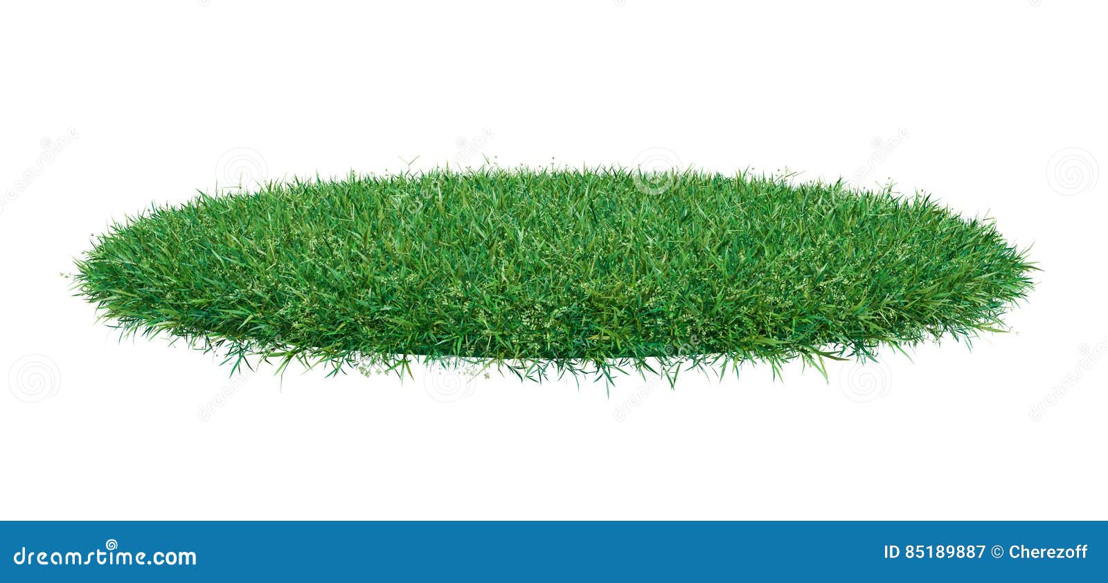 Green Grass Arena, Isolated Stock Illustration - Illustration of color ...