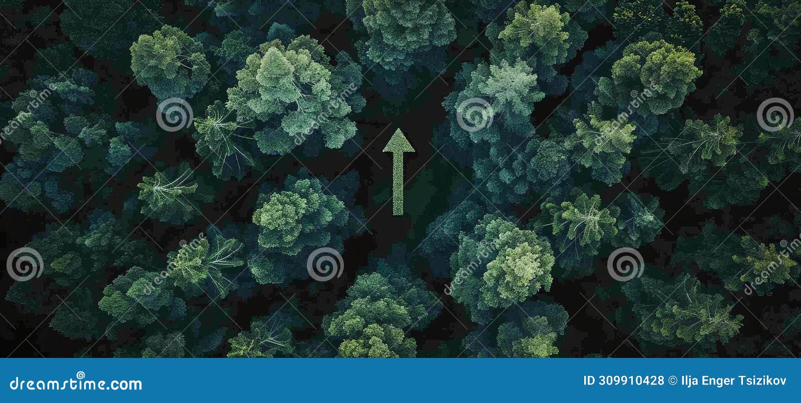 Green Grass Arrows Symbolize Sustainable Development and Positive ...