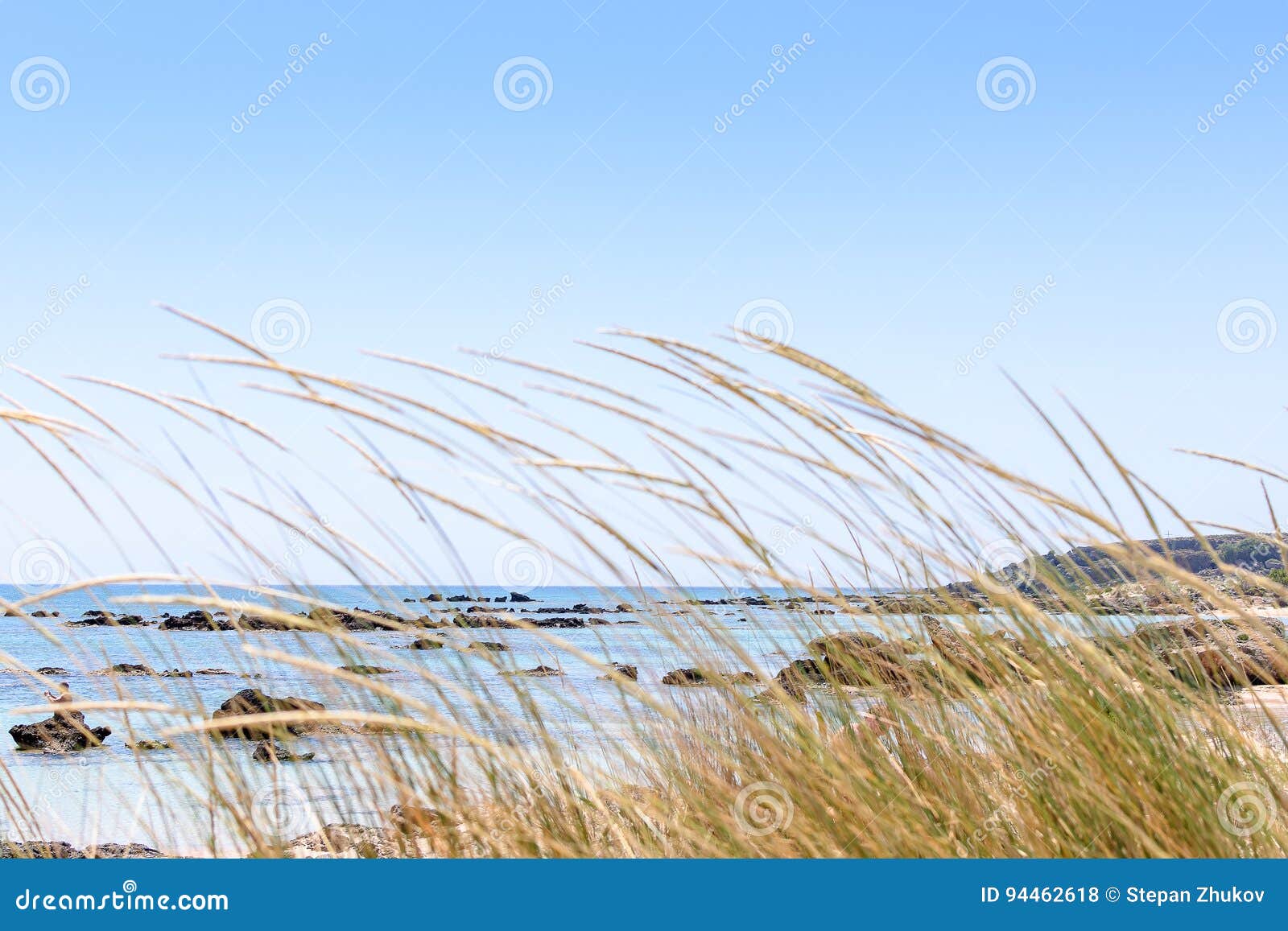 Green Grass on a Background of Blue Ocean and Blue Sky Stock Photo ...