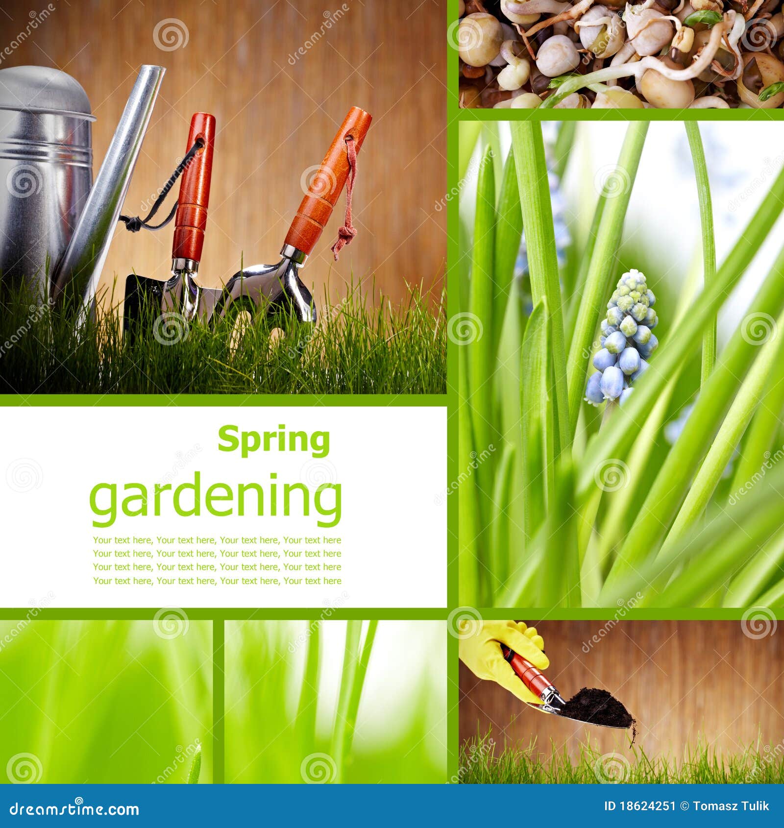 Green Grass Background - Collage Stock Image - Image of environment ...