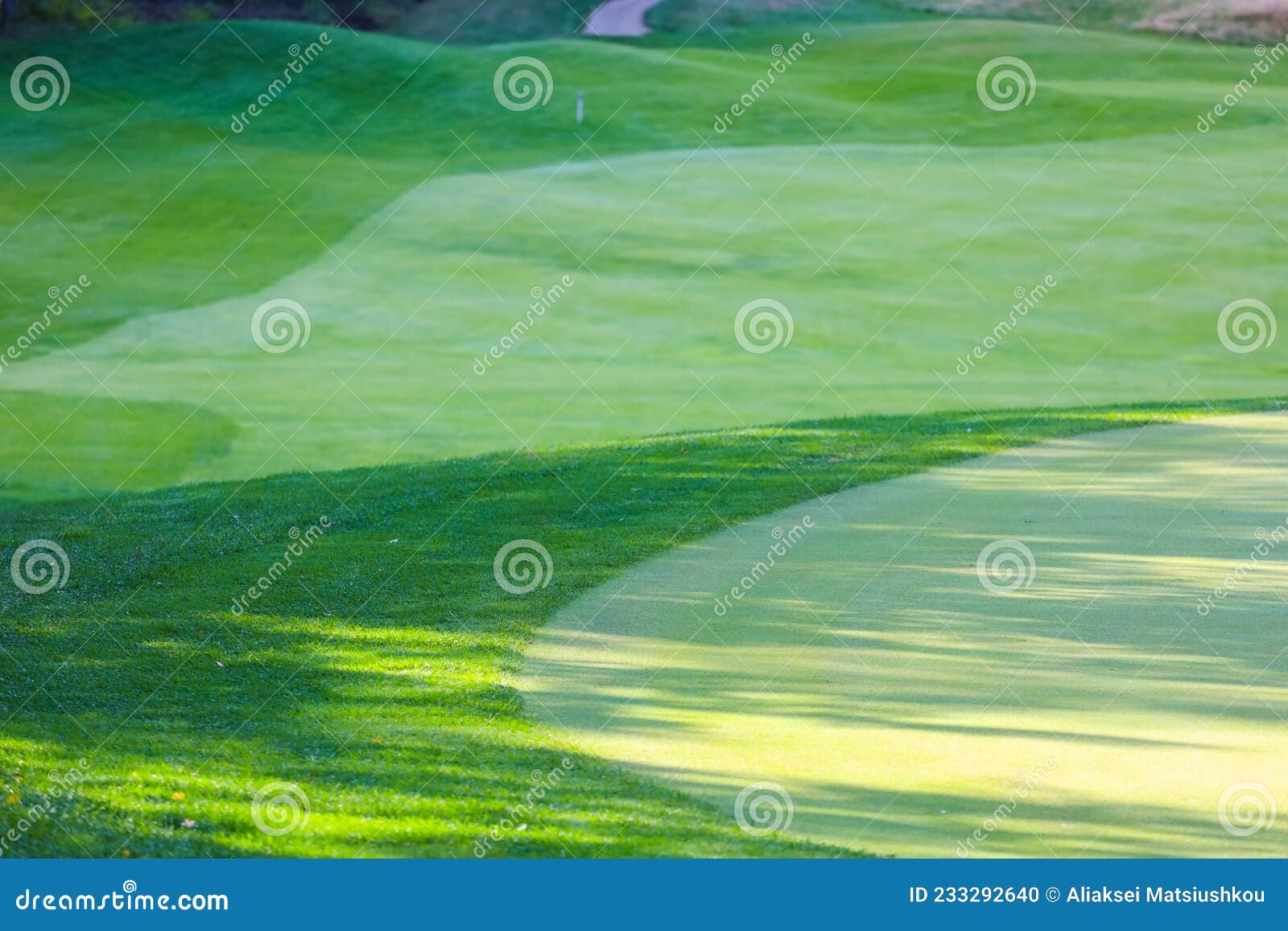 Green Grass. Background. Golf Course, Shadows from Trees on the Grass ...
