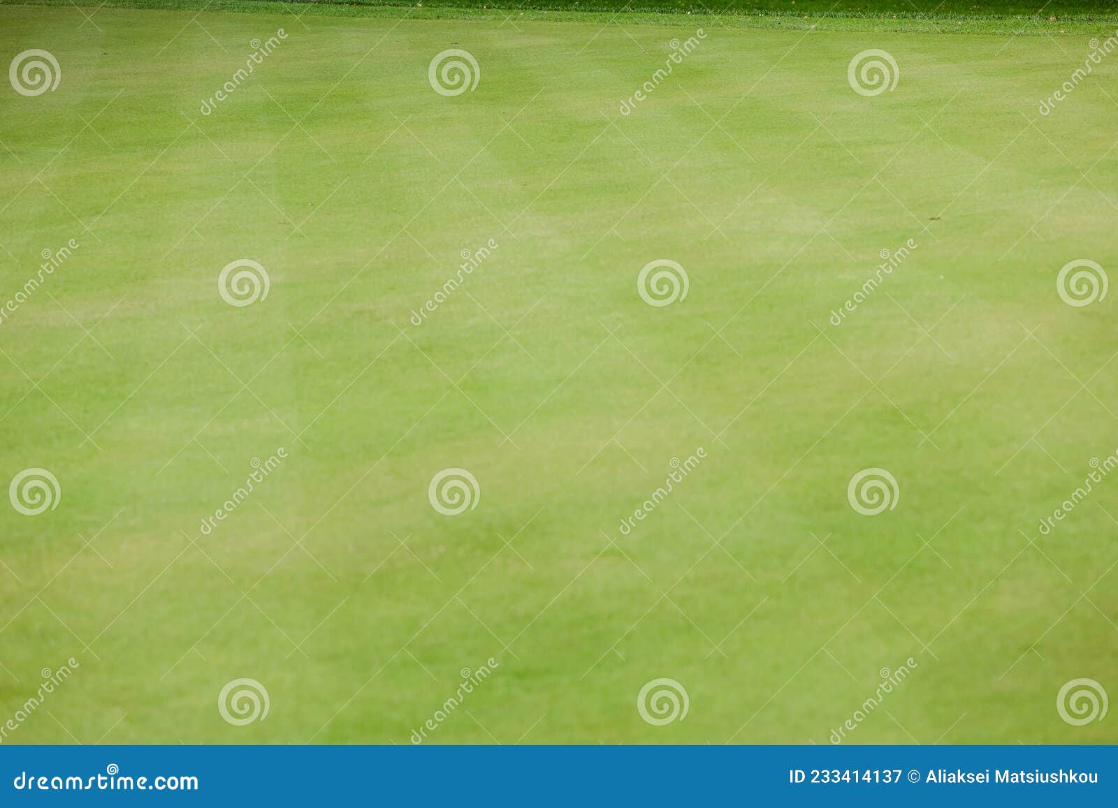 Green Grass. Background. Golf Course, Shadows from Trees on the Grass ...