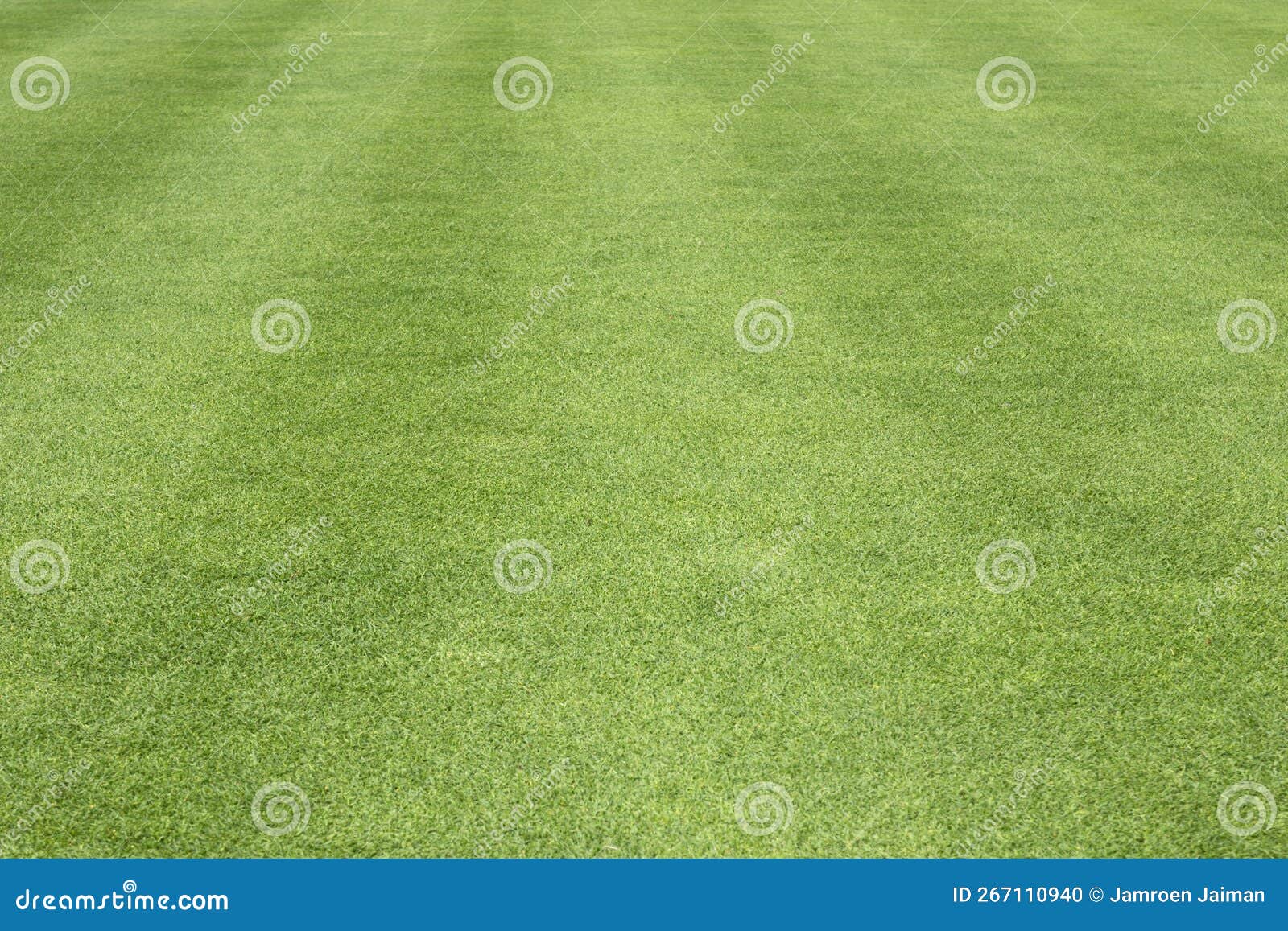 Green Grass Background Green Lawn Pattern Textured Background Stock ...
