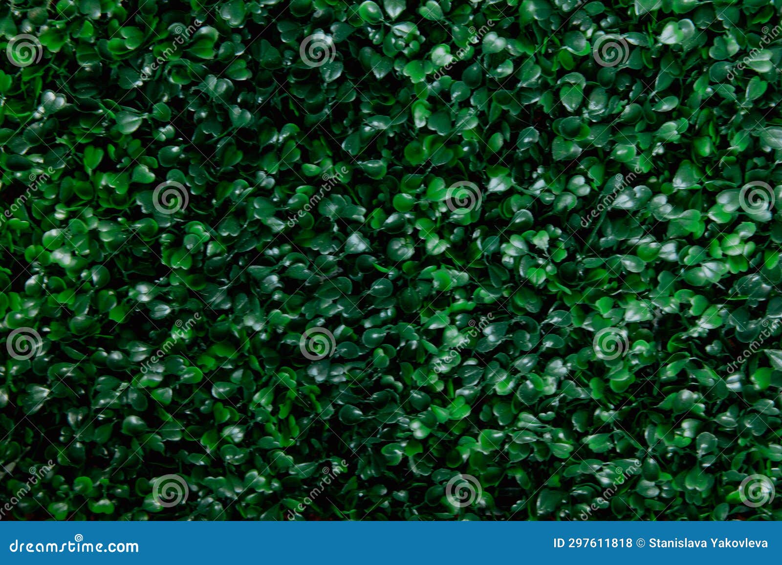 Green Grass Background of Leaves, Texture of Greenery Stock Photo ...