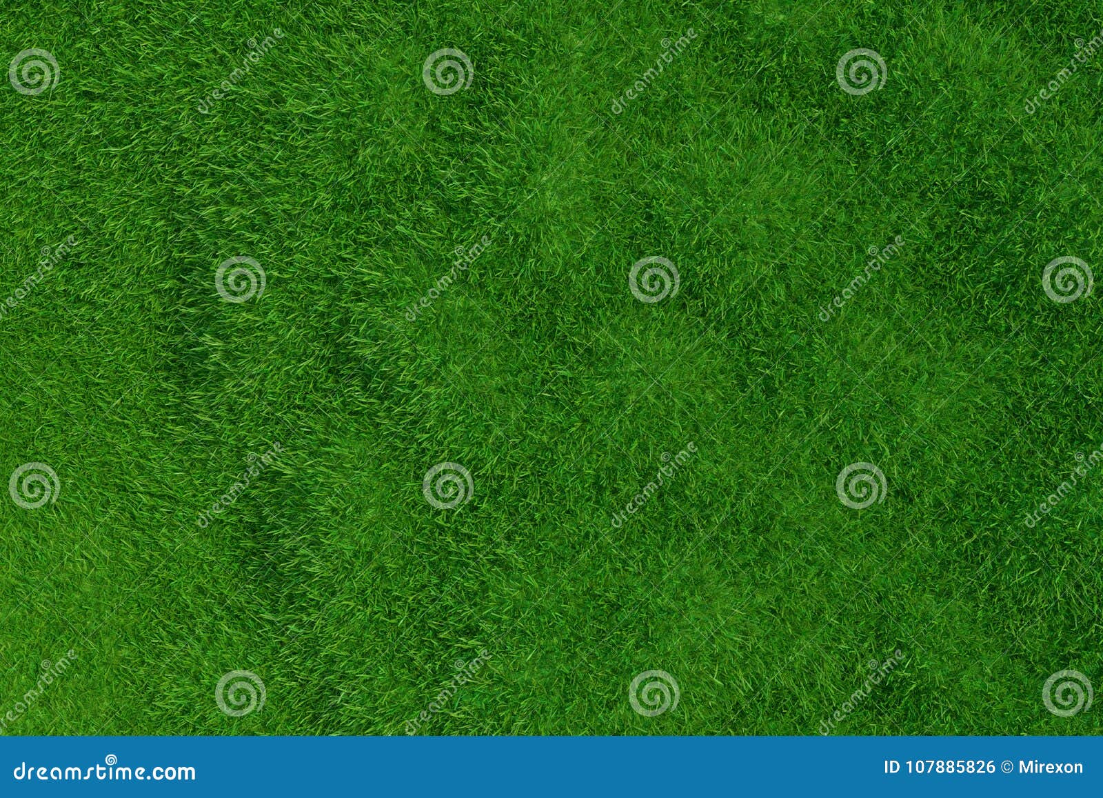 Green Grass Background. Natural Background. Top View. 3d Rendering ...