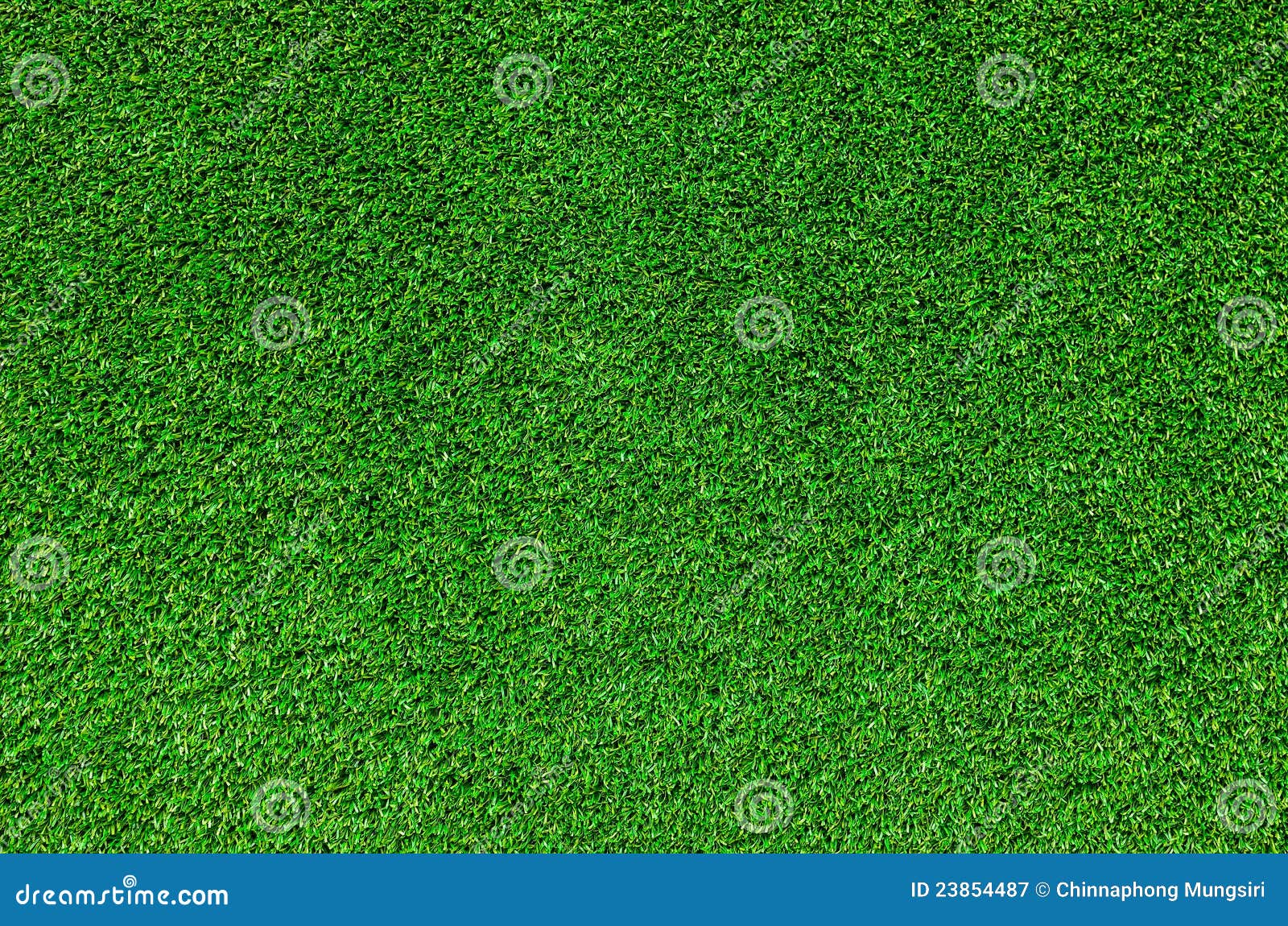 Grass Background. Fresh Lawn Grass Texture. Perfect Green Grass Royalty ...