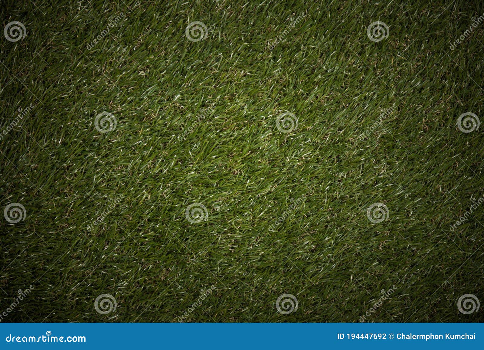 Green Grass Background Texture. Element of Design. Stock Photo - Image ...