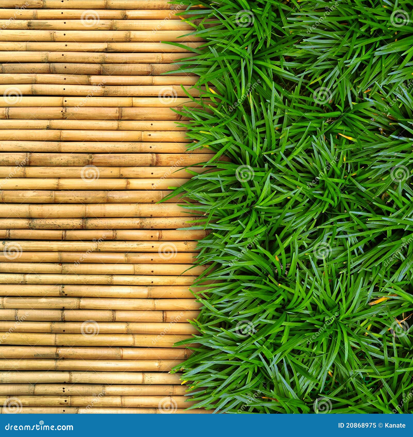 Green grass on bamboo stock image. Image of architecture - 20868975